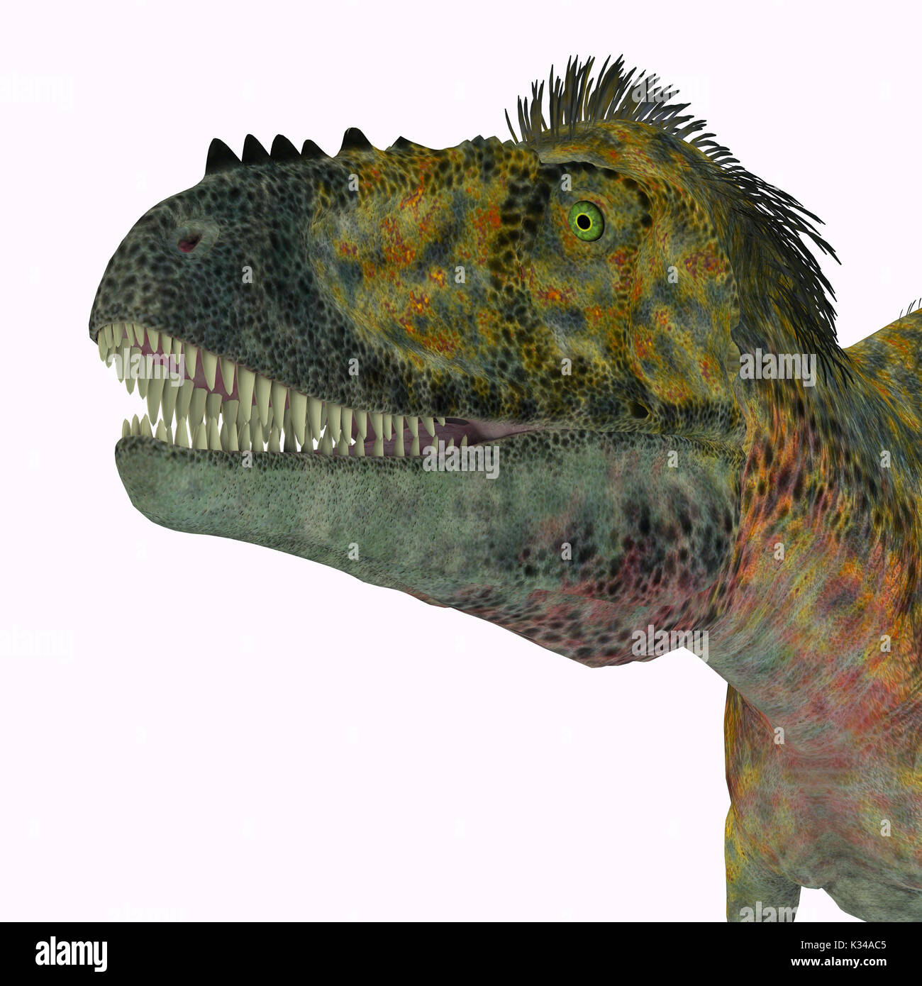 Carnivorous Theropod Dinosaur High Resolution Stock Photography and Images - Alamy