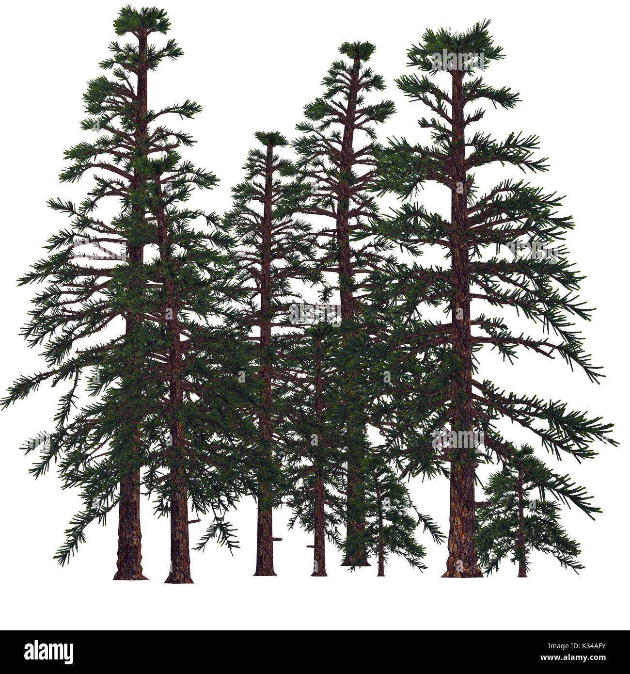 Triassic era hi-res stock photography and images - Alamy