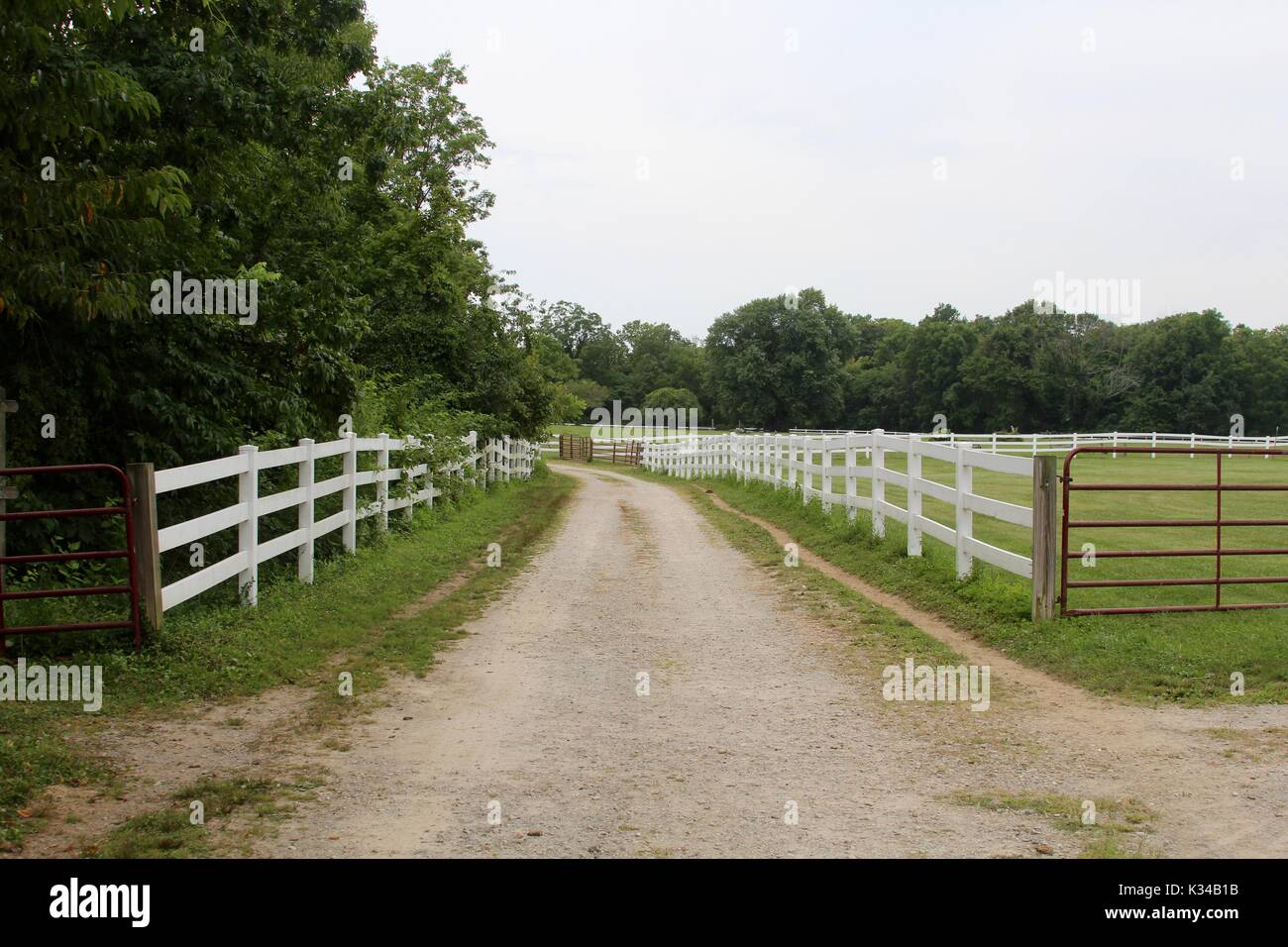 A day in the parks and on a farm with the farm animals Stock Photo - Alamy