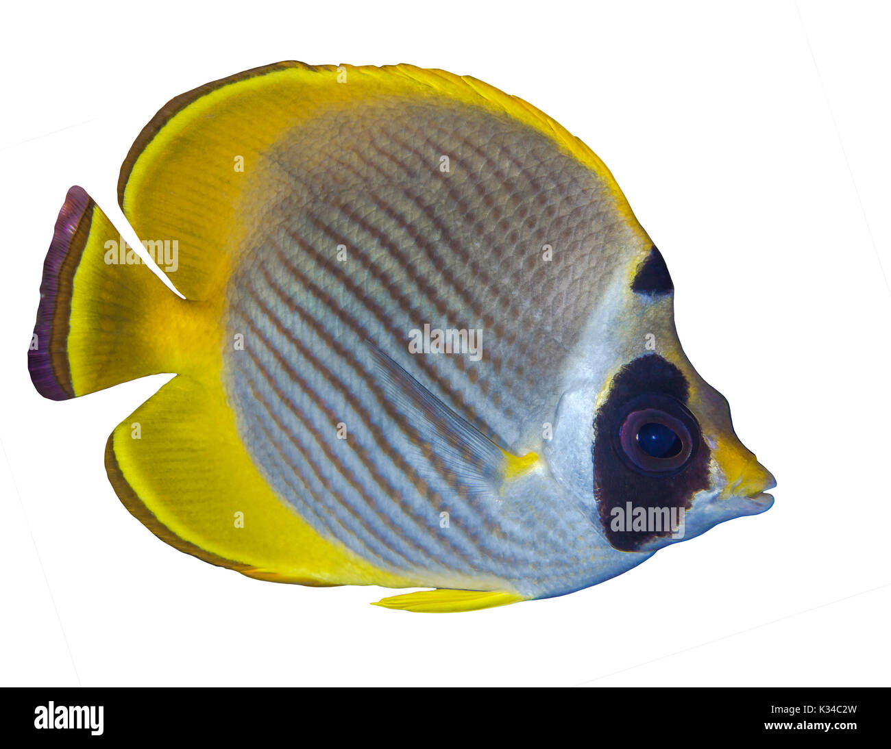 Philippine spratly islands hi-res stock photography and images - Alamy