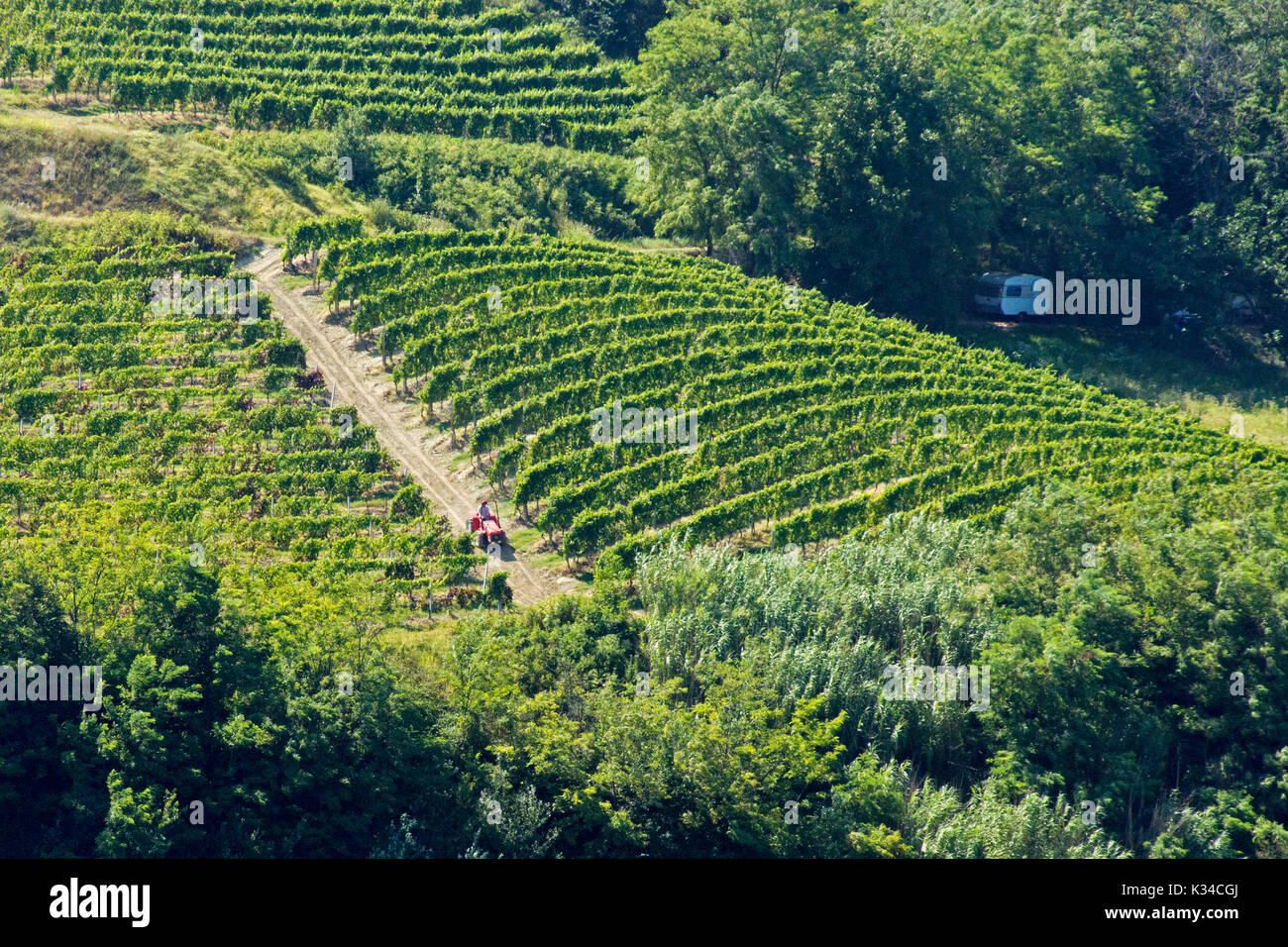 Asti italy winery hi-res stock photography and images - Alamy