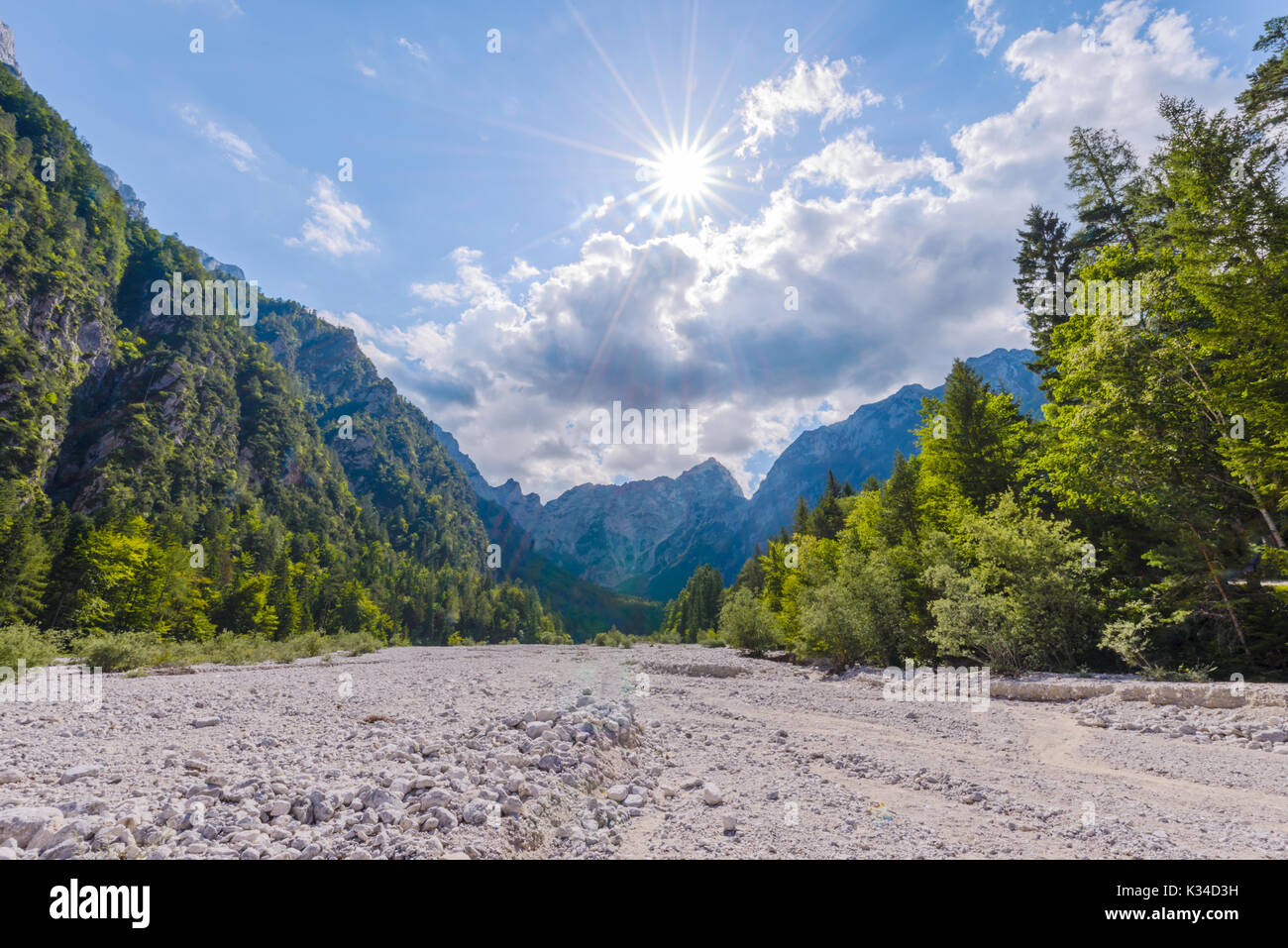 Dry mountain riverbed, woods and trees, mountains in background Stock ...