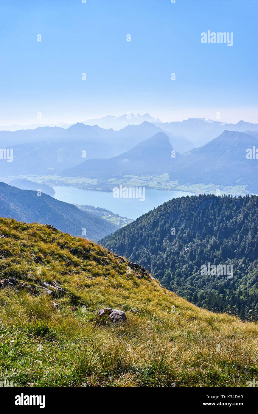 Green landscape vertical view hi-res stock photography and images - Alamy