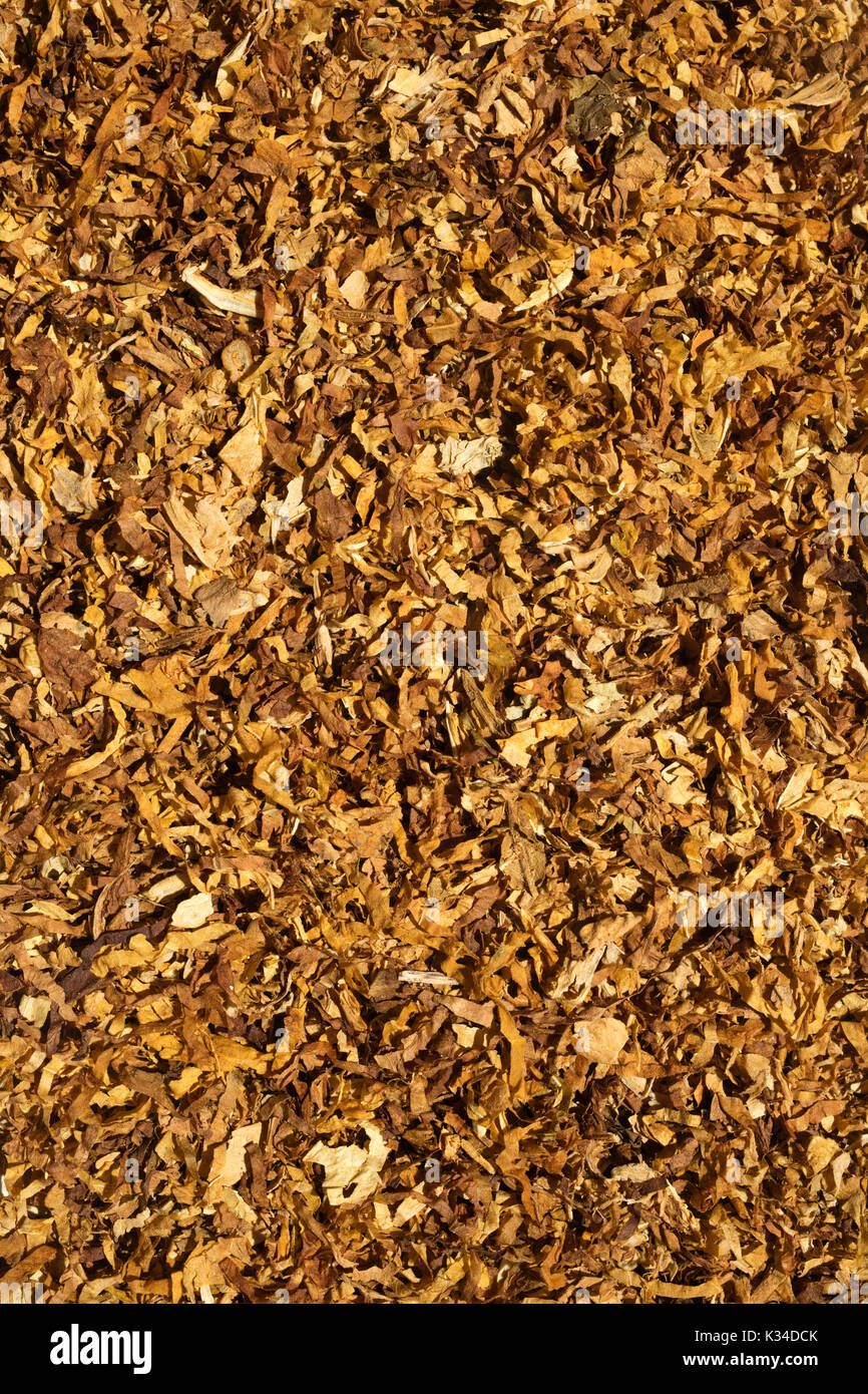 Tobacco texture hi-res stock photography and images - Alamy