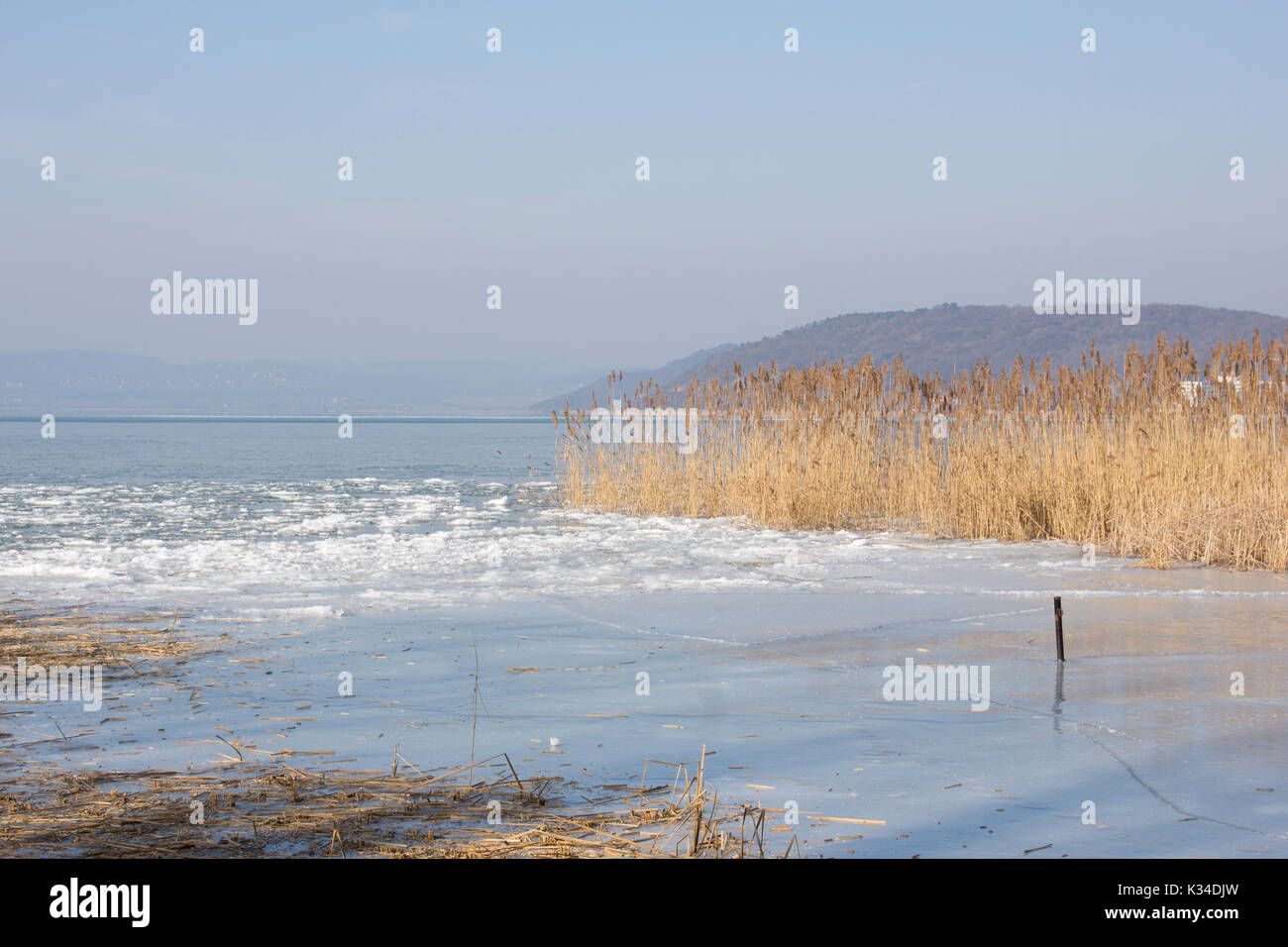 Lake Balaton in Hungary surrounded by reed in the winter time with snow ...