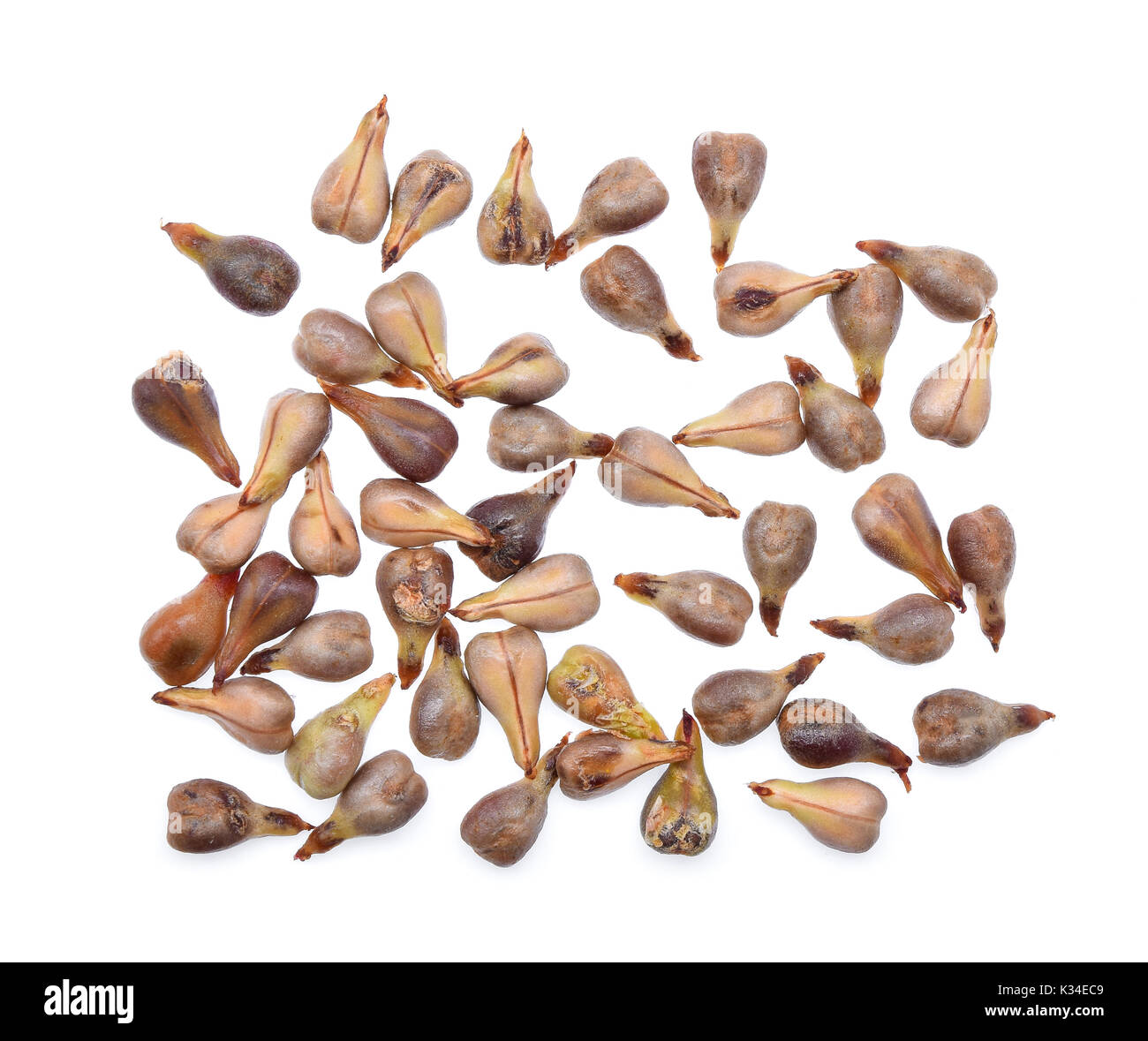 grape seeds on white background Stock Photo - Alamy