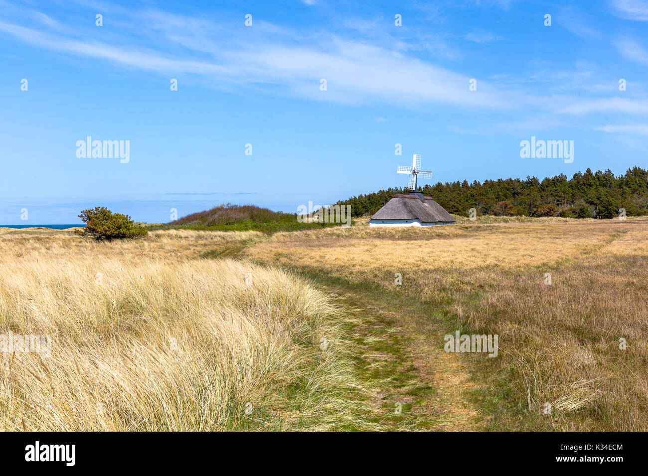 Old stock mill near Tversted Stock Photo - Alamy