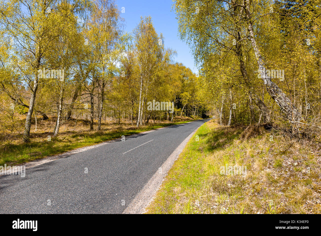 The road to the old stock mill near Tversted Stock Photo - Alamy