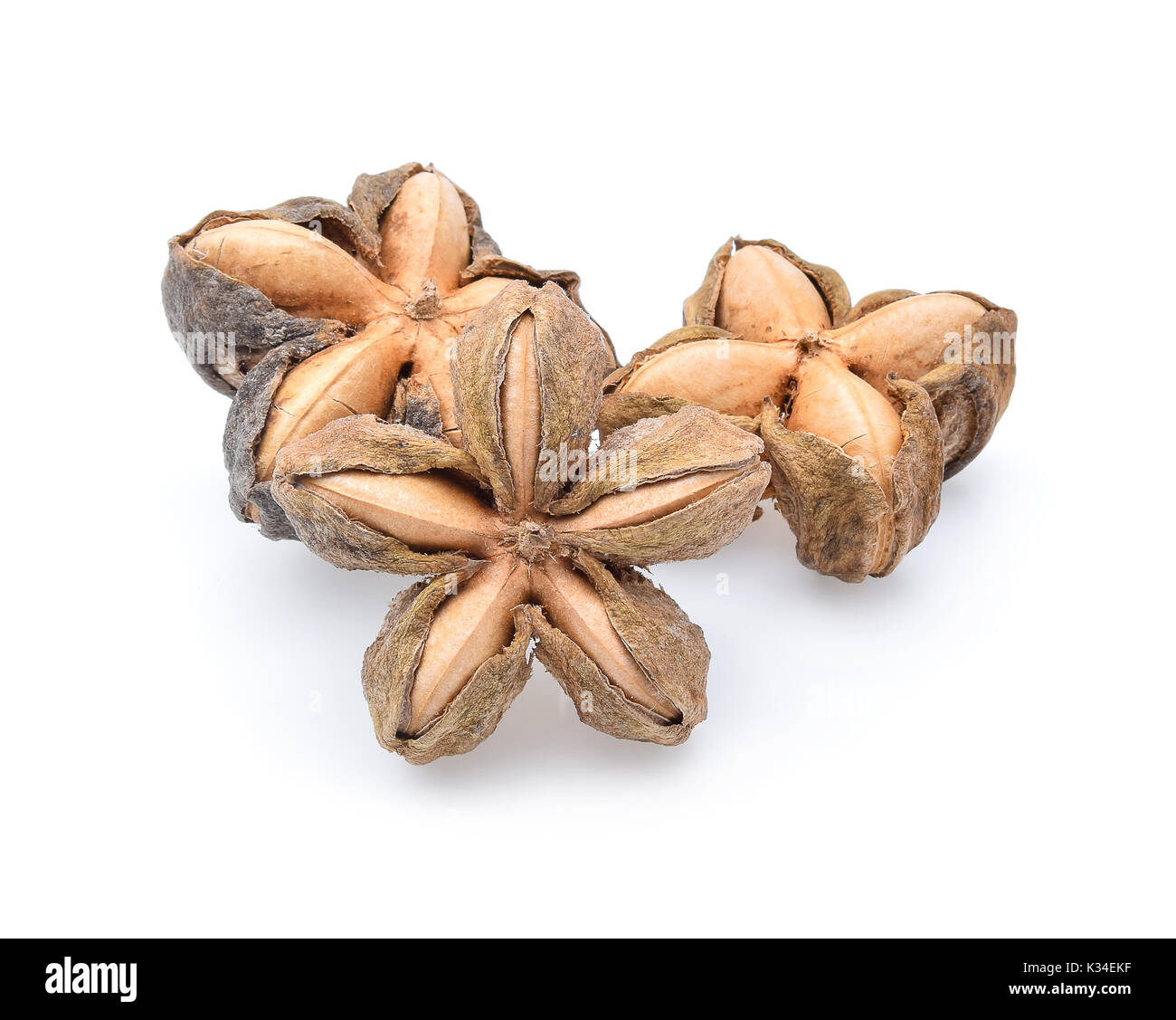 Inchi nuts hi-res stock photography and images - Alamy