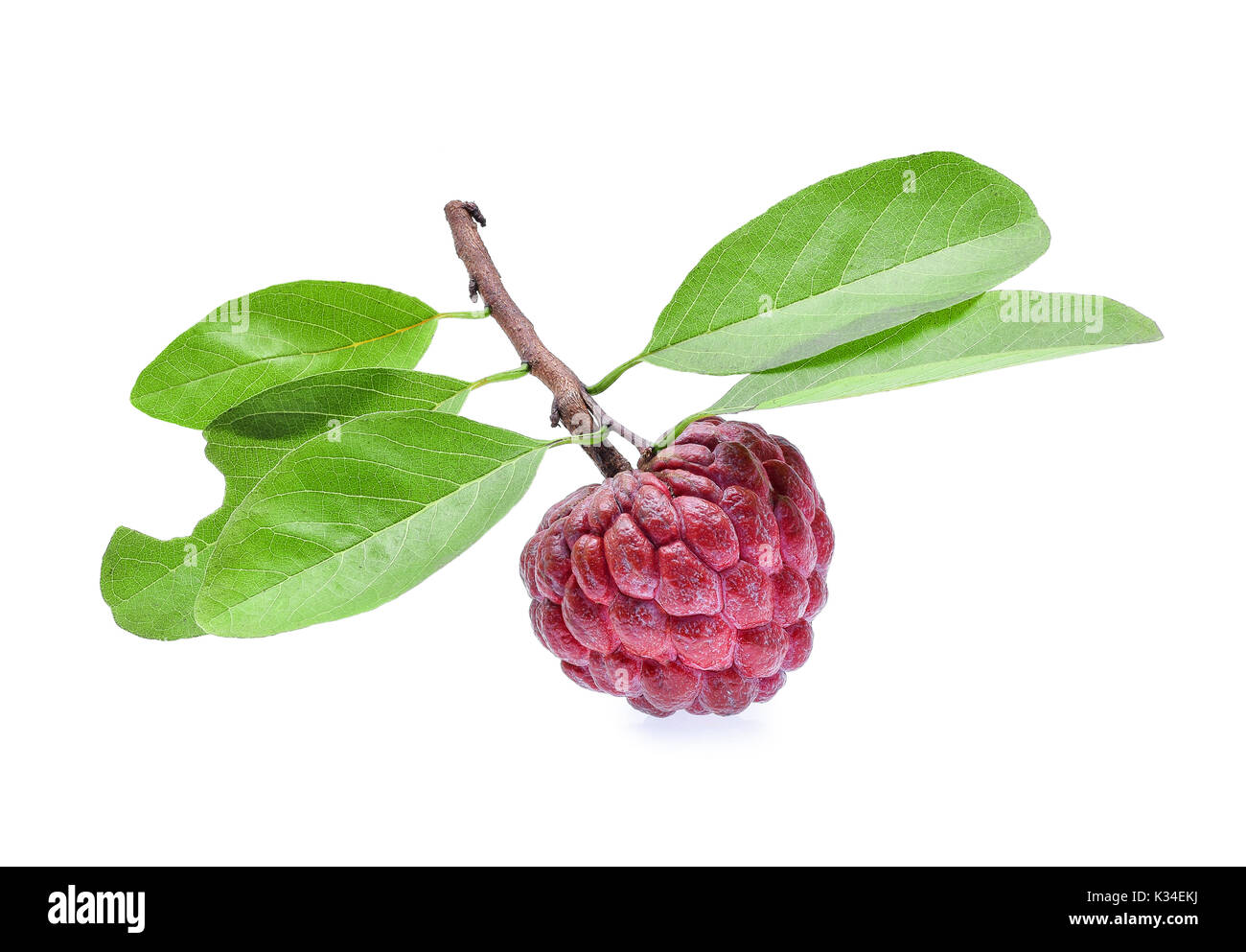Red Sugar Apple