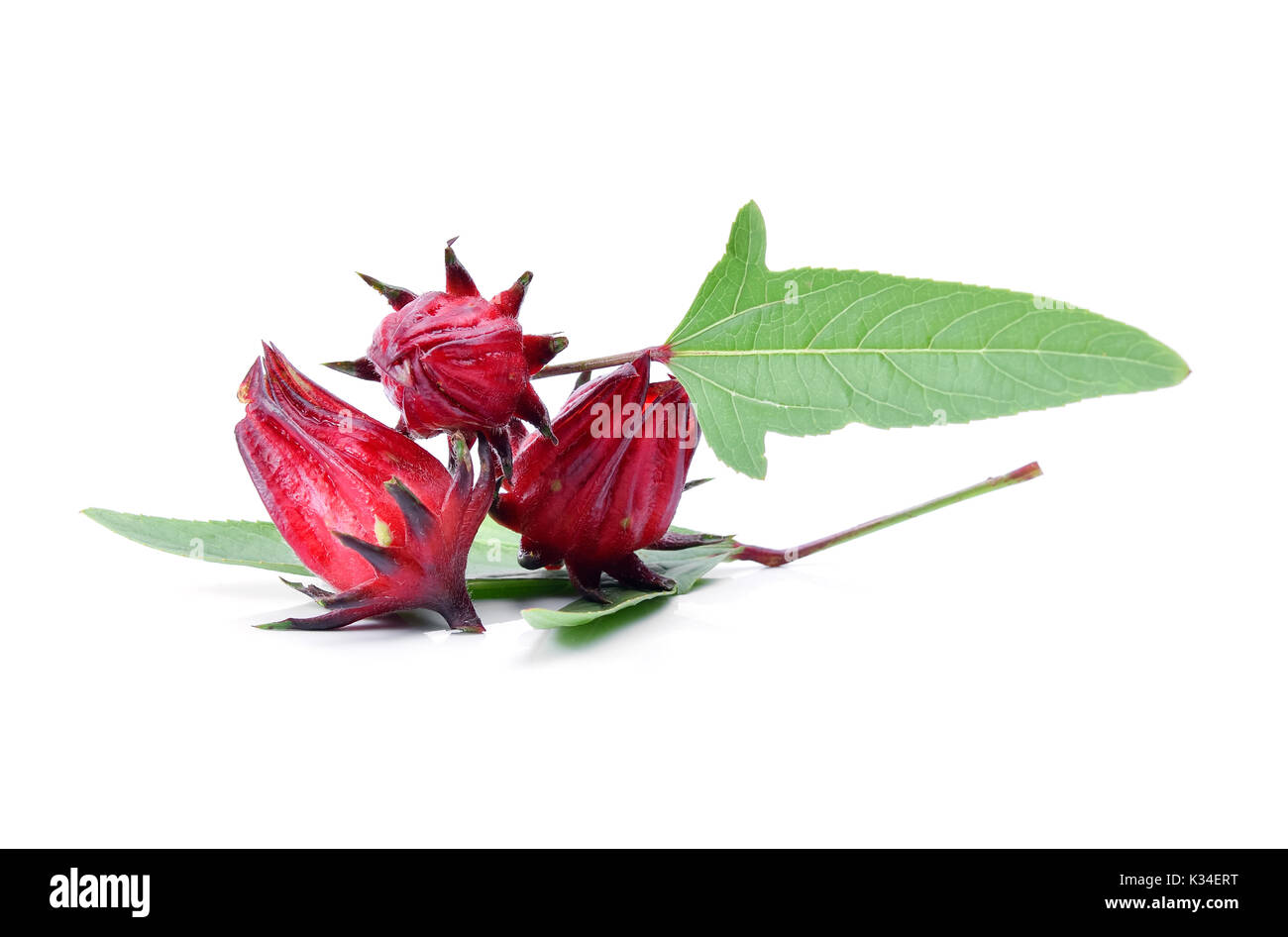 Hibiscus fruits hi-res stock photography and images - Alamy