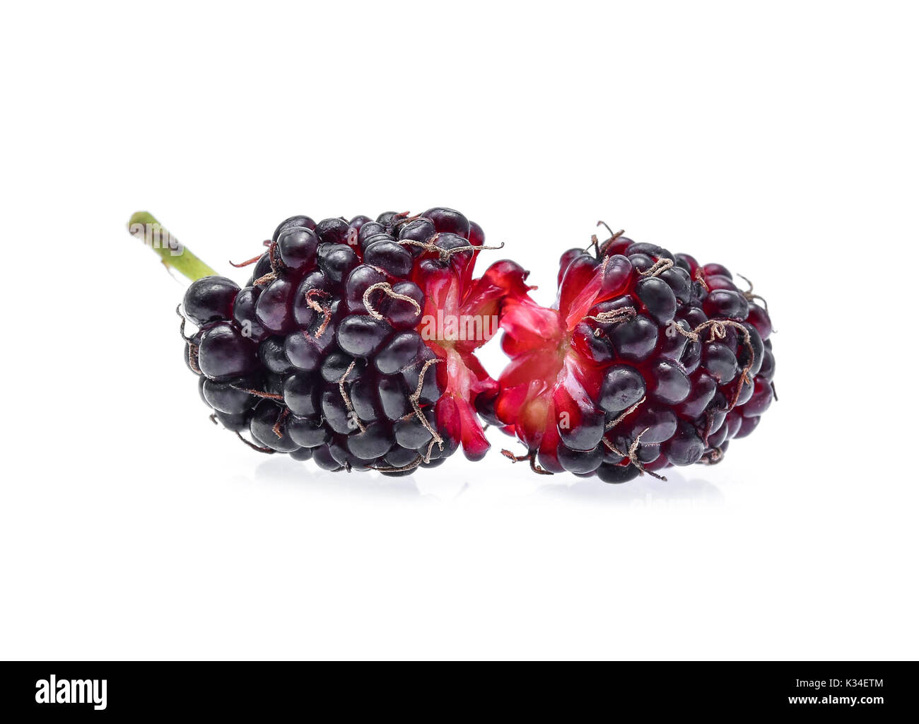Mulberry isolated on white background Stock Photo - Alamy