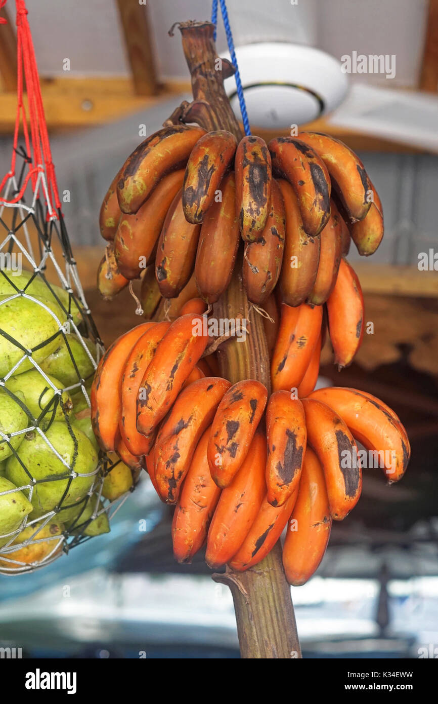 Tanzania bananas hi-res stock photography and images - Alamy
