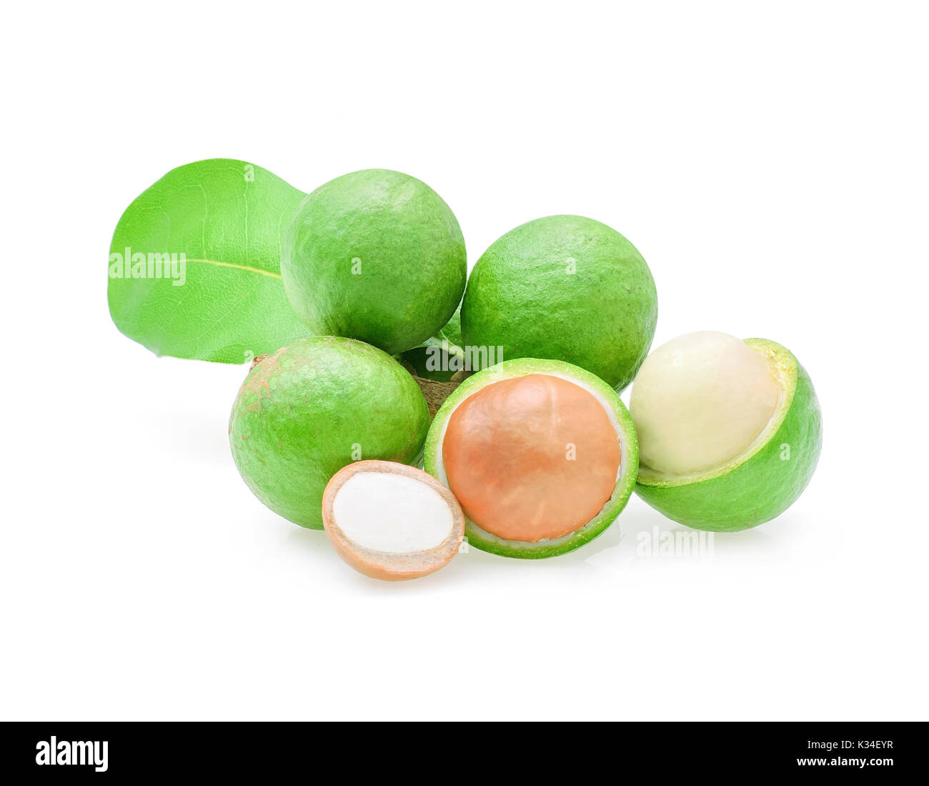 fresh macadamia nut on white background Stock Photo - Alamy