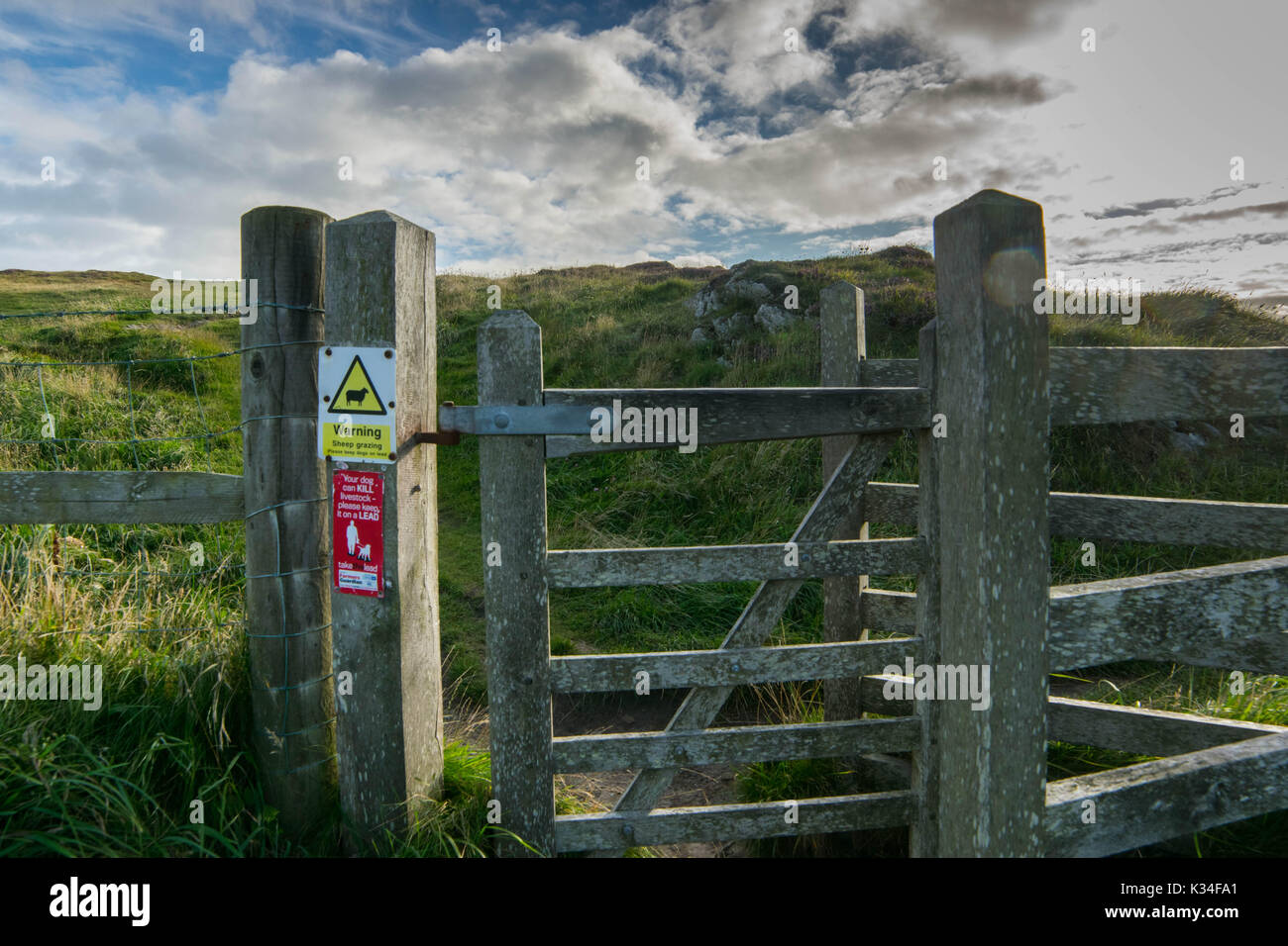 Sheep grazing sign hi-res stock photography and images - Alamy