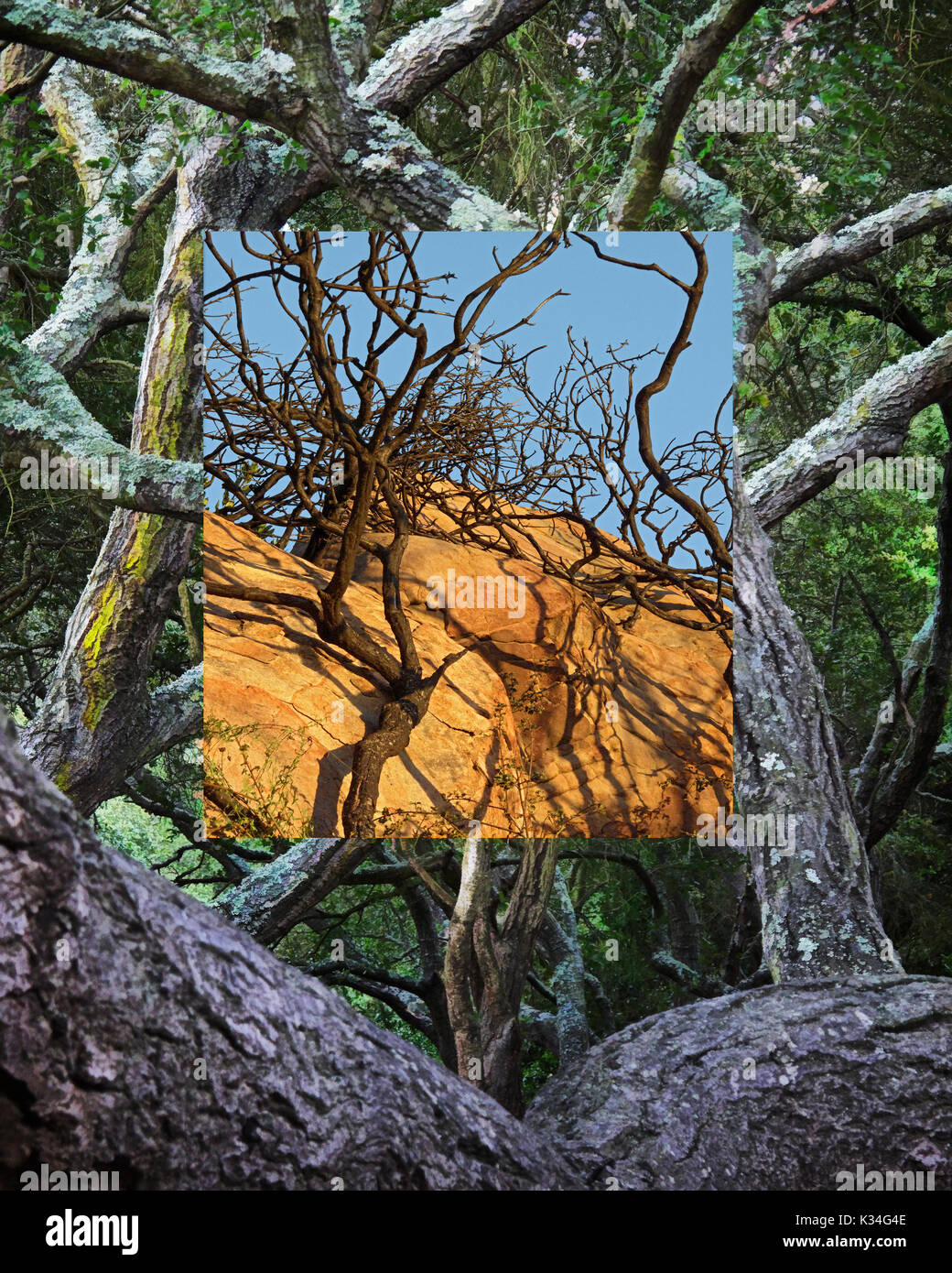 Deconstructed imagery reconstructed landscapes hi-res stock photography ...