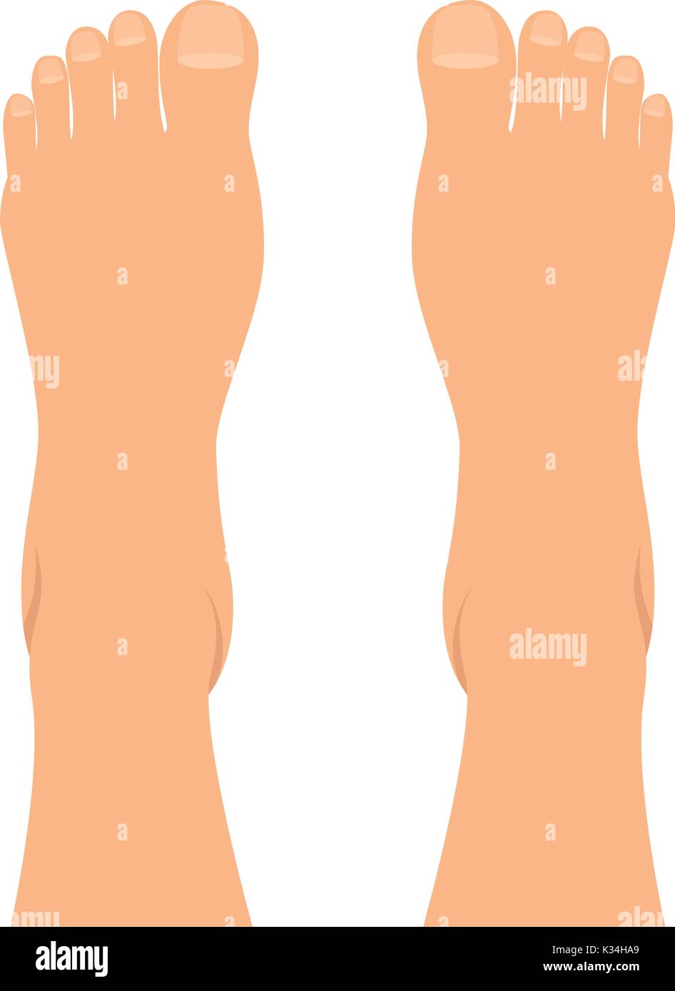 Human feet isolated icon vector illustration design Stock Vector Image ...