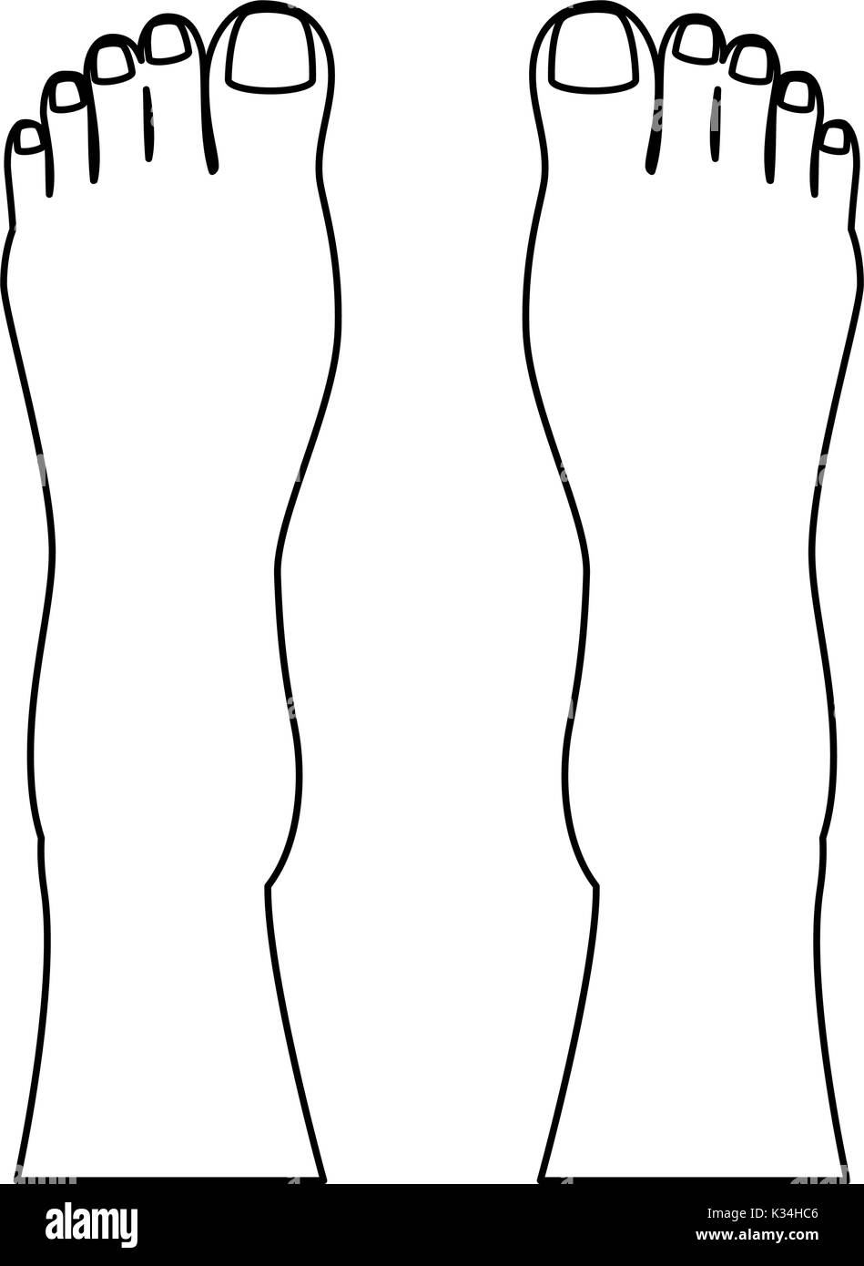 Human feet isolated icon vector illustration design Stock Vector Image ...