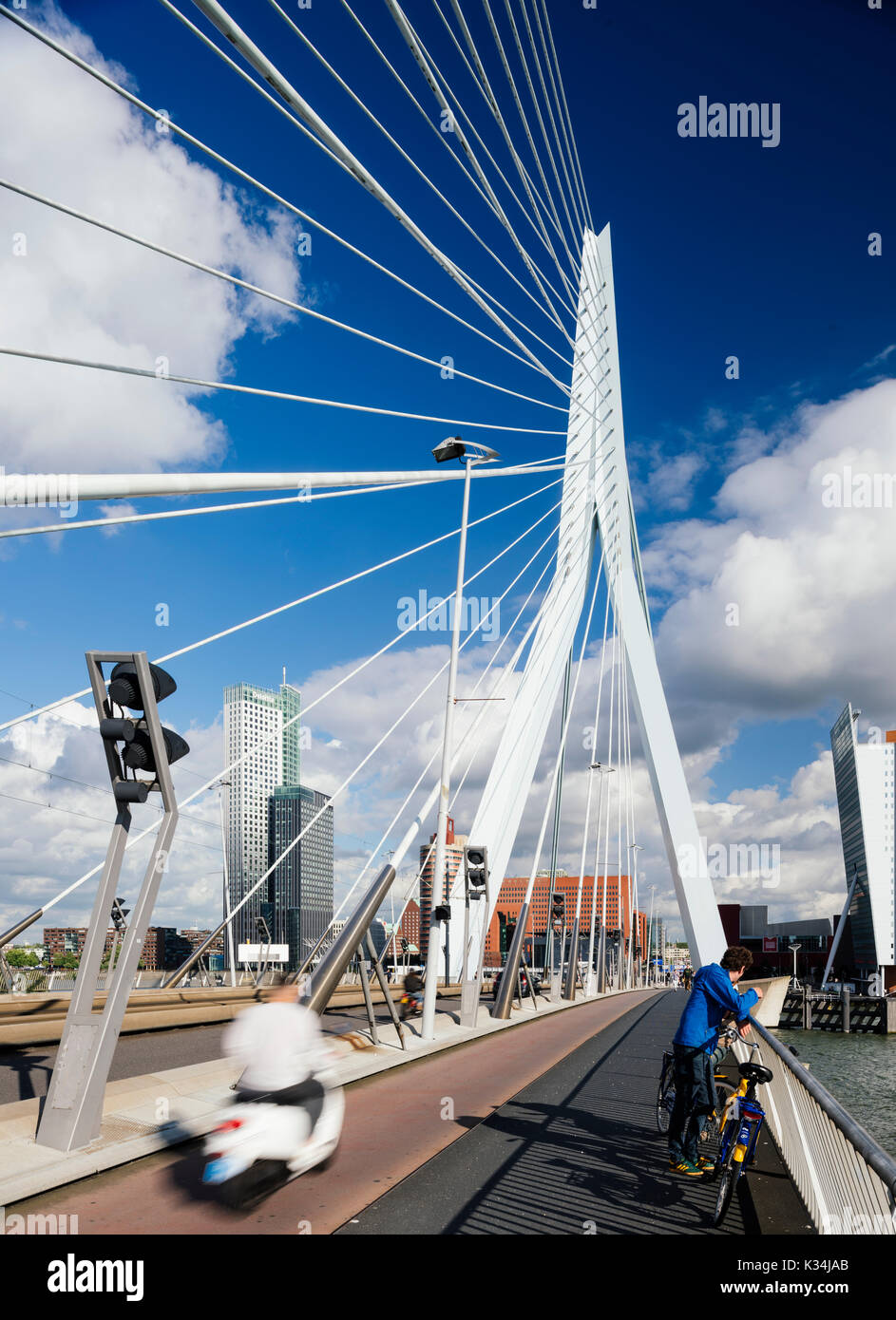 Erasmus Bridge, Wilhelminakade, Rotterdam, Netherlands Stock Photo - Alamy