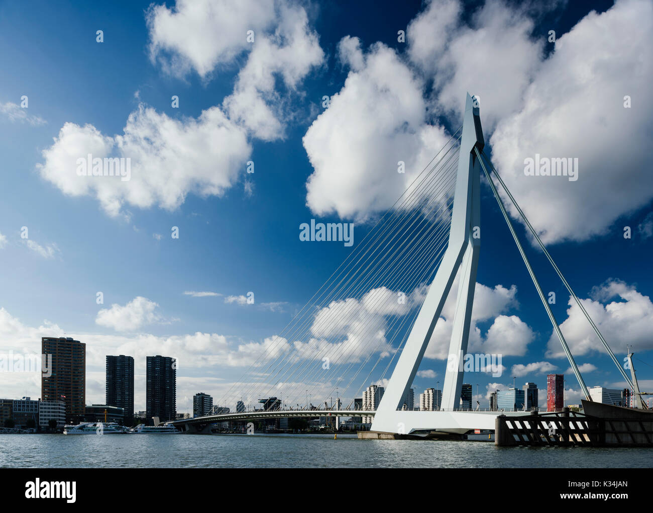 Erasmus Bridge, Wilhelminakade, Rotterdam, Netherlands Stock Photo - Alamy