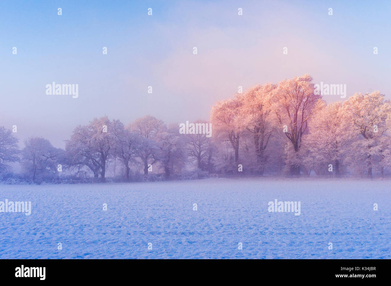 Frost Mist And Dawn Colors High Resolution Stock Photography and Images ...