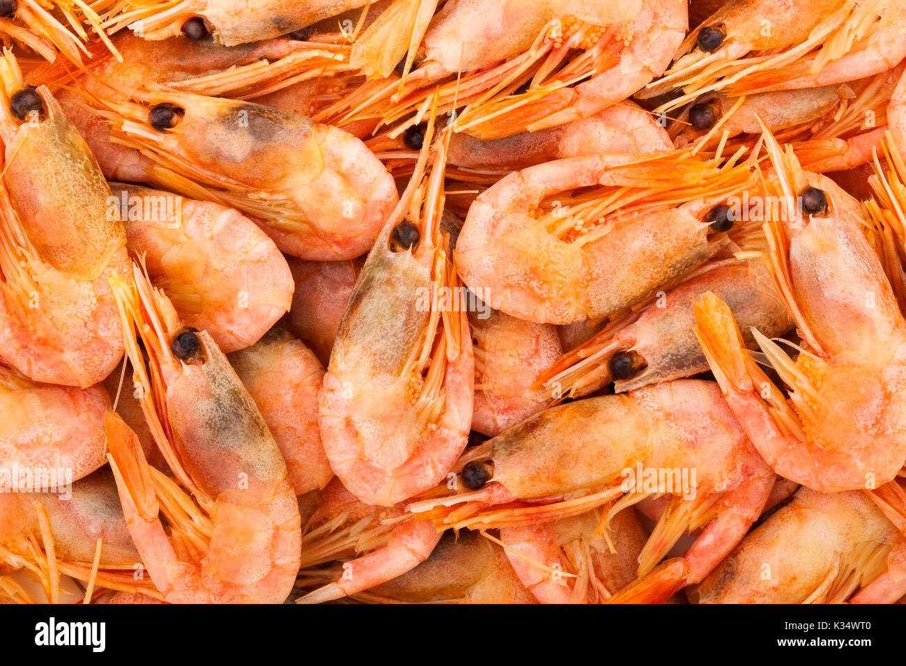 Shrimp texture hi-res stock photography and images - Alamy
