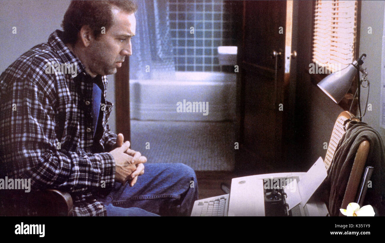 ADAPTATION NICOLAS CAGE Date: 2002 Stock Photo - Alamy