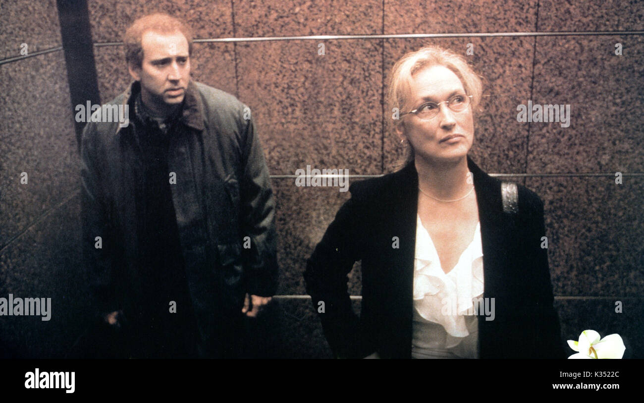 ADAPTATION NICOLAS CAGE, MERYL STREEP Date: 2002 Stock Photo - Alamy