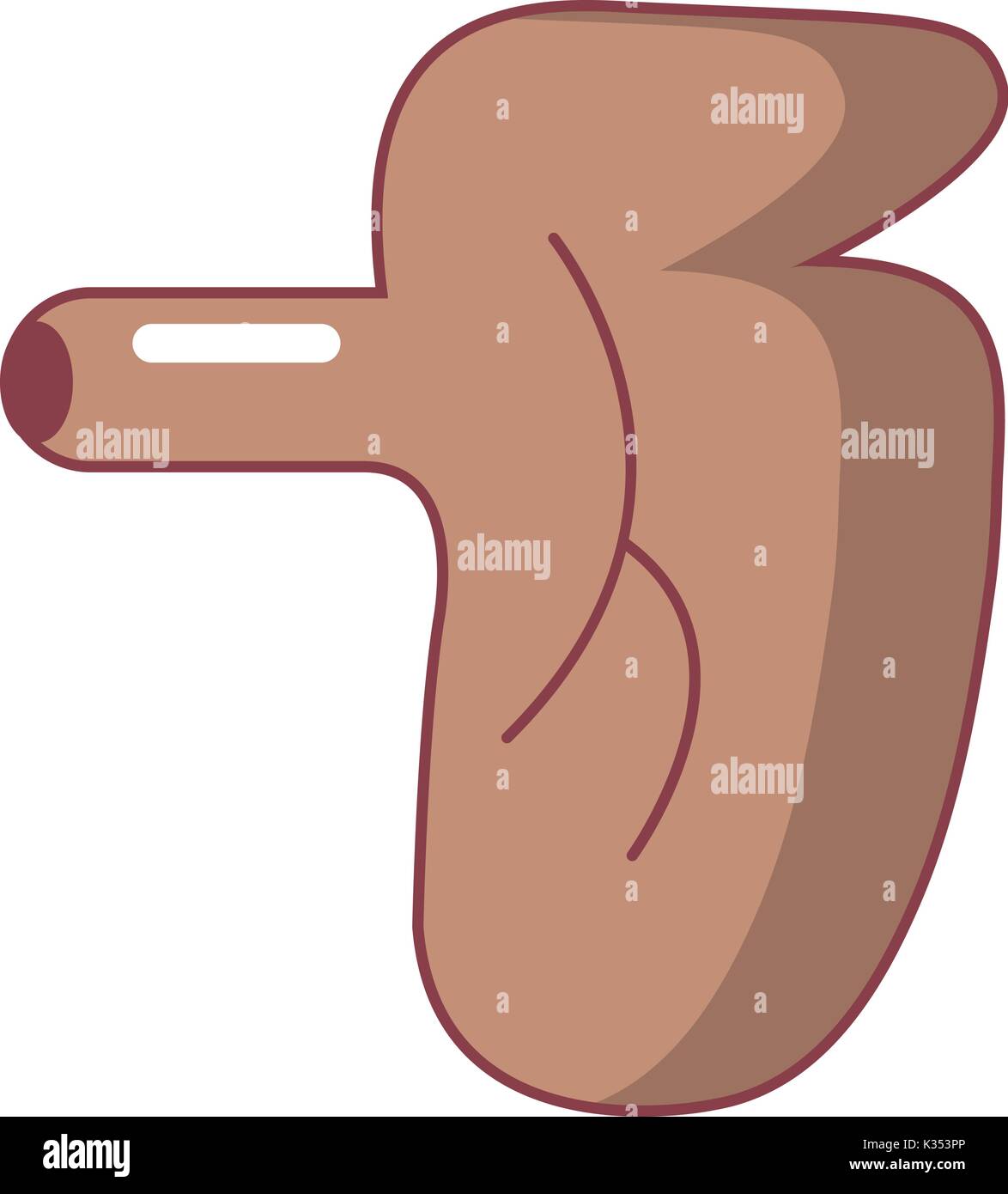 Kidney icon, cartoon style Stock Vector Image & Art - Alamy