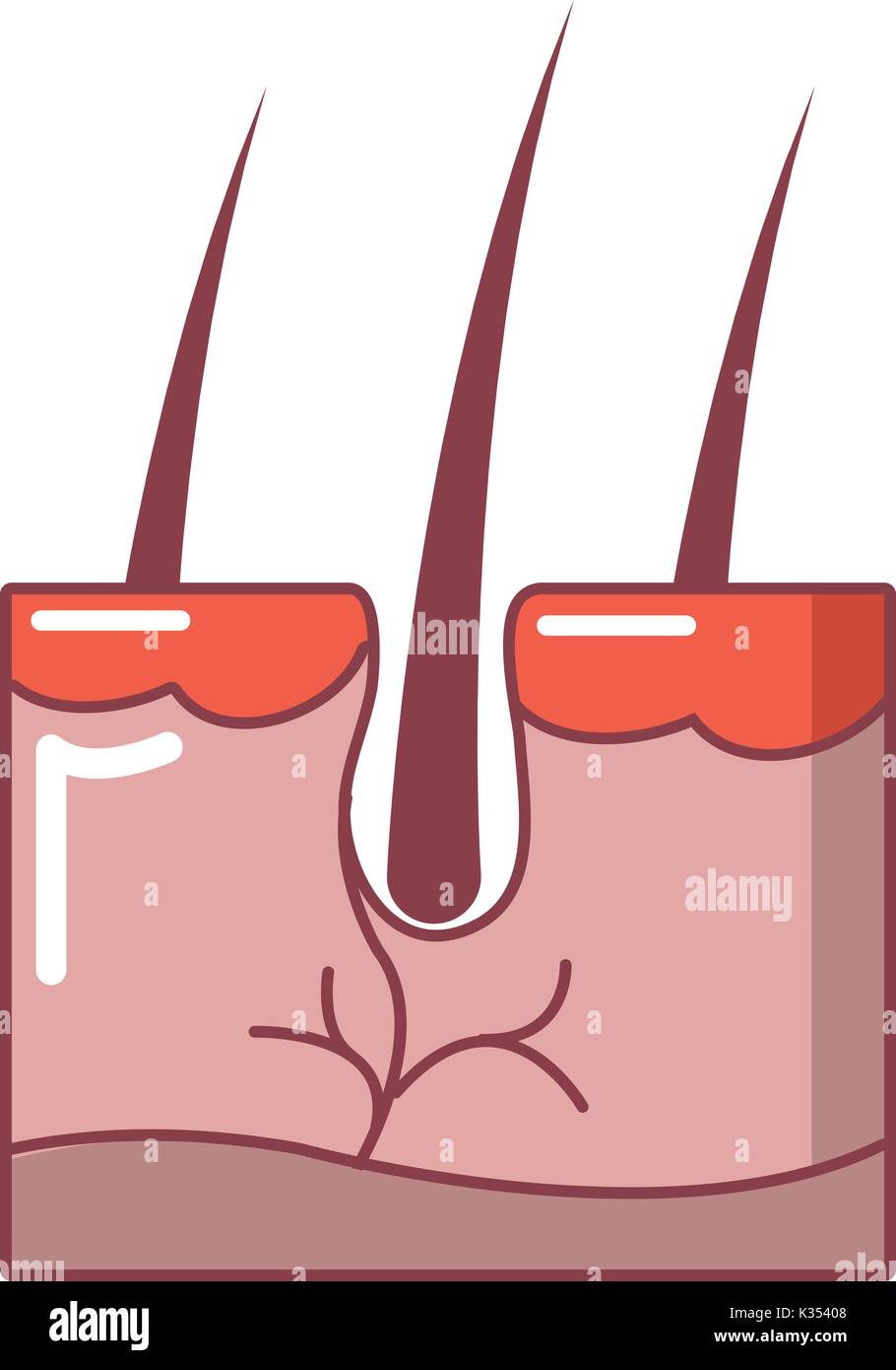 Hair in skin icon, cartoon style Stock Vector Image & Art - Alamy