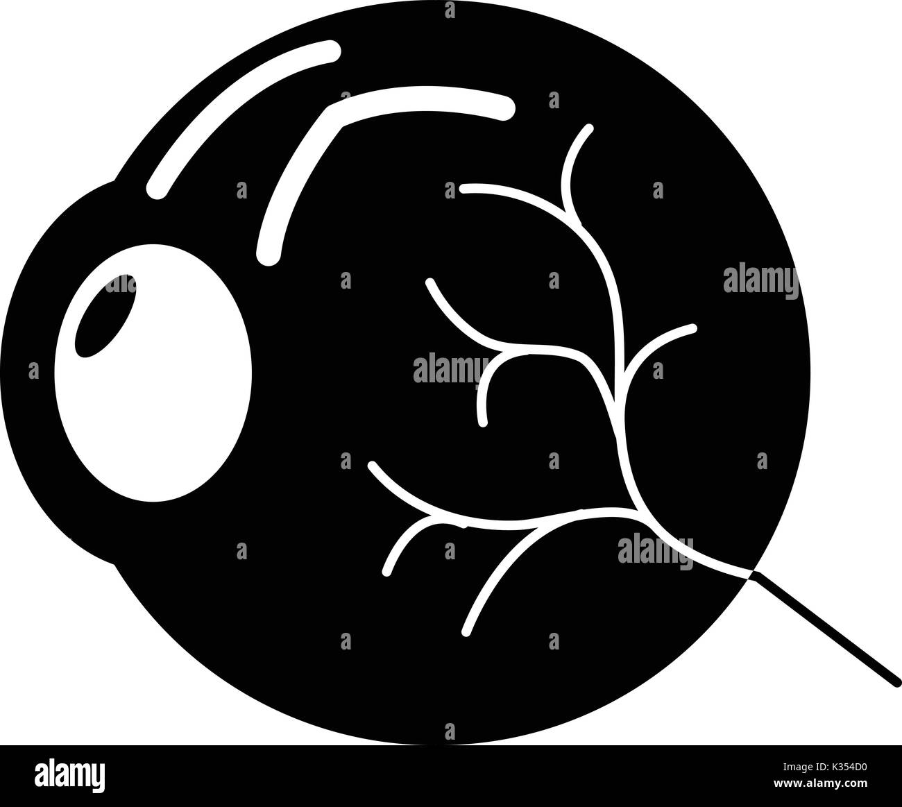 Humananatomy hi-res stock photography and images - Alamy