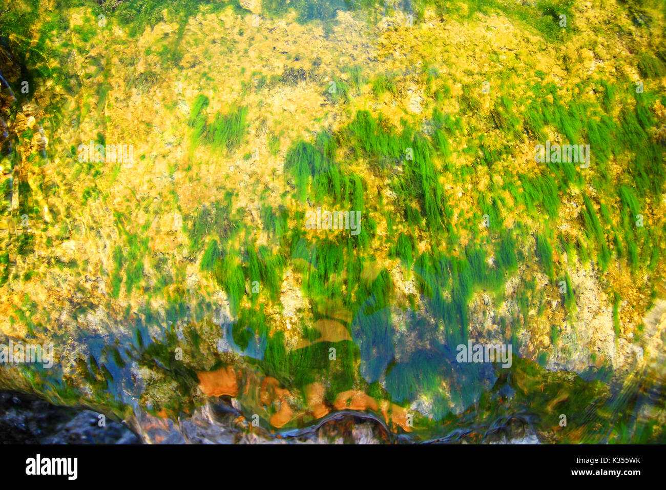 Clear water flow Stock Photo - Alamy