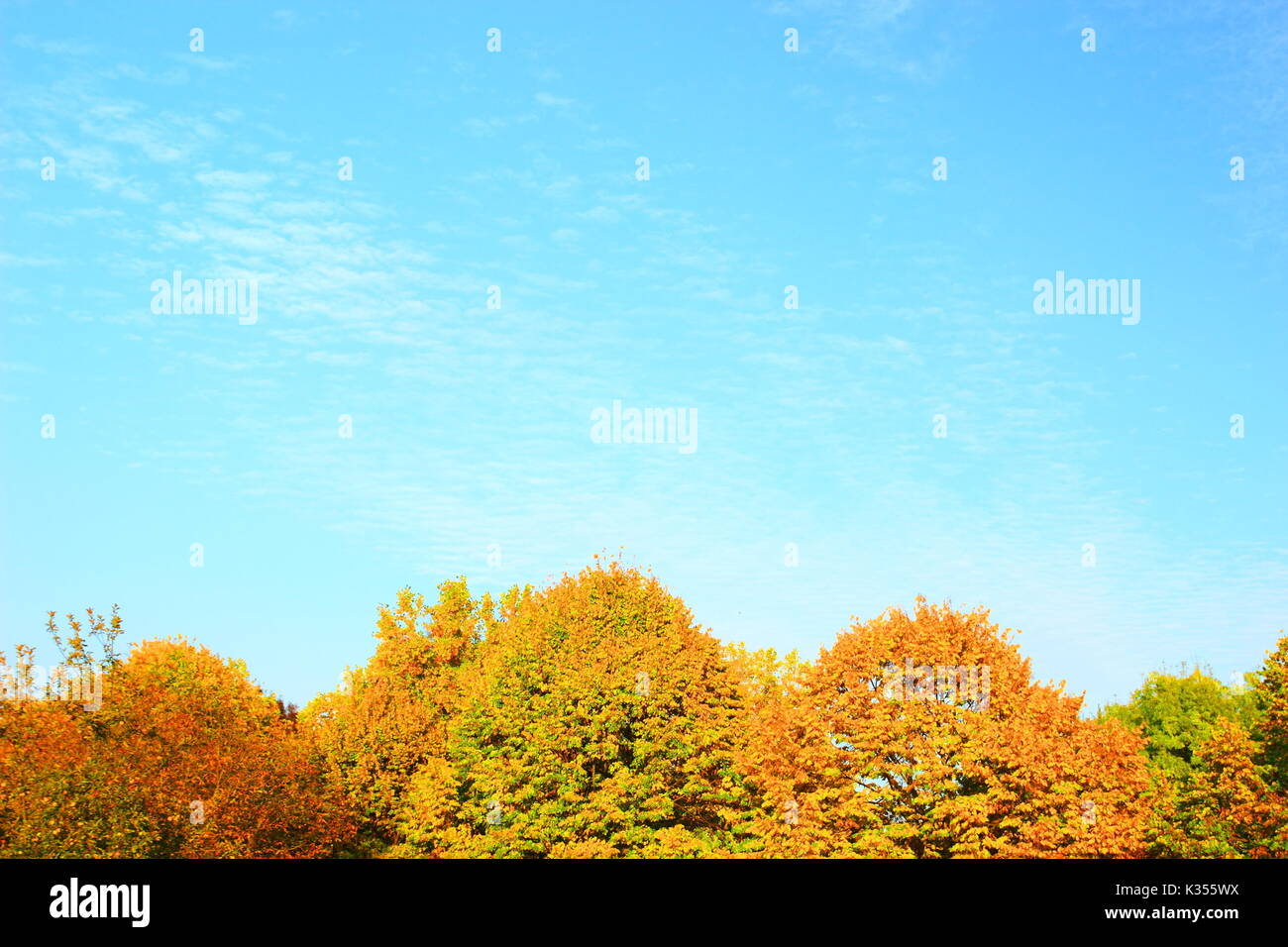 Sky and fall foliage hi-res stock photography and images - Alamy