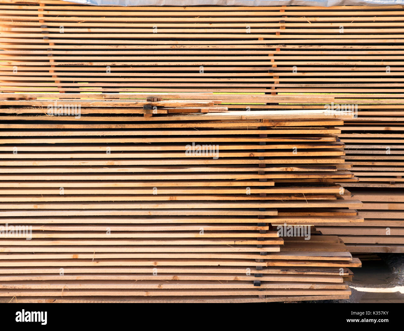 Cut wood spruce boards. Timber, planed boards. Carpenter texture and ...