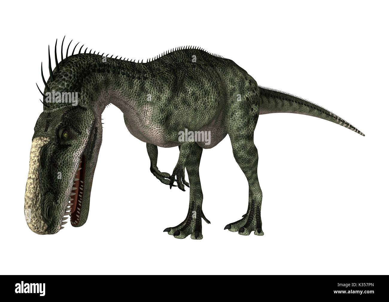 3D rendering of a dinosaur Monolophosaurus isolated on white background ...