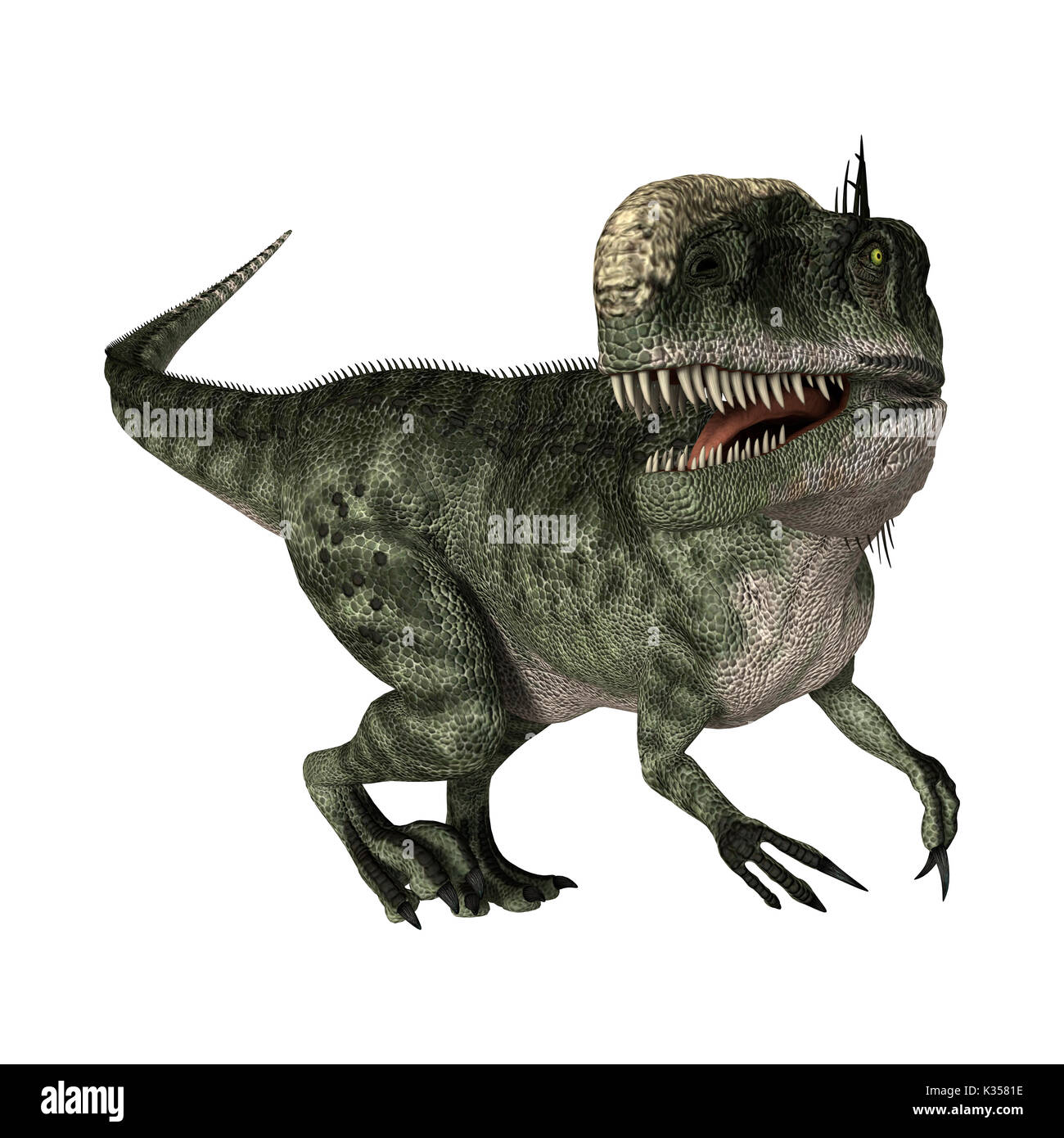 3D rendering of a dinosaur Monolophosaurus isolated on white background ...