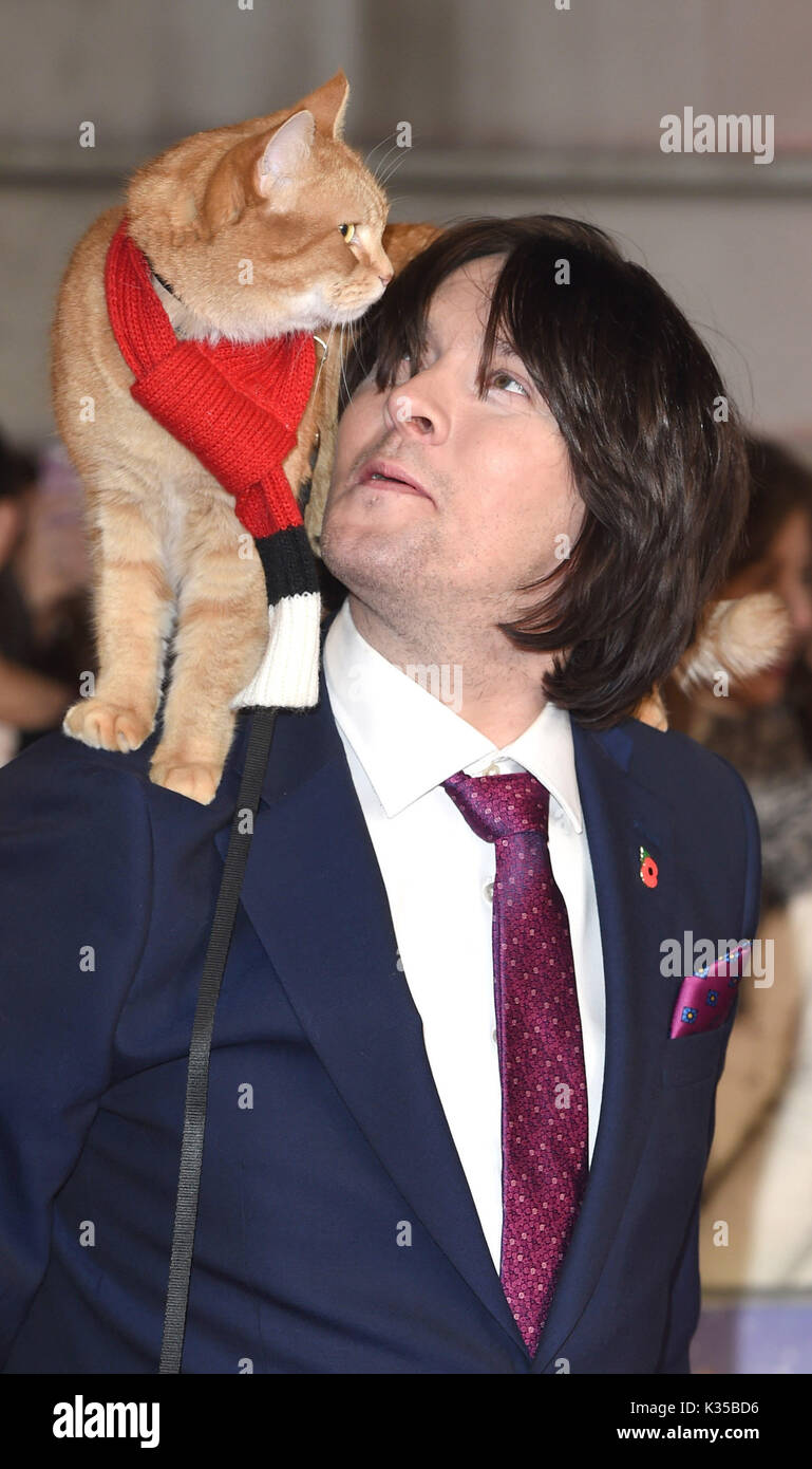 James bowen and bob the cat hi-res stock photography and images - Alamy