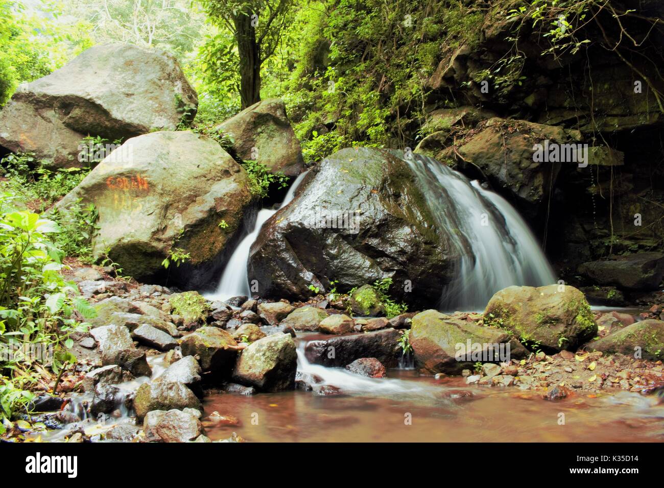 Coban rais hi-res stock photography and images - Alamy