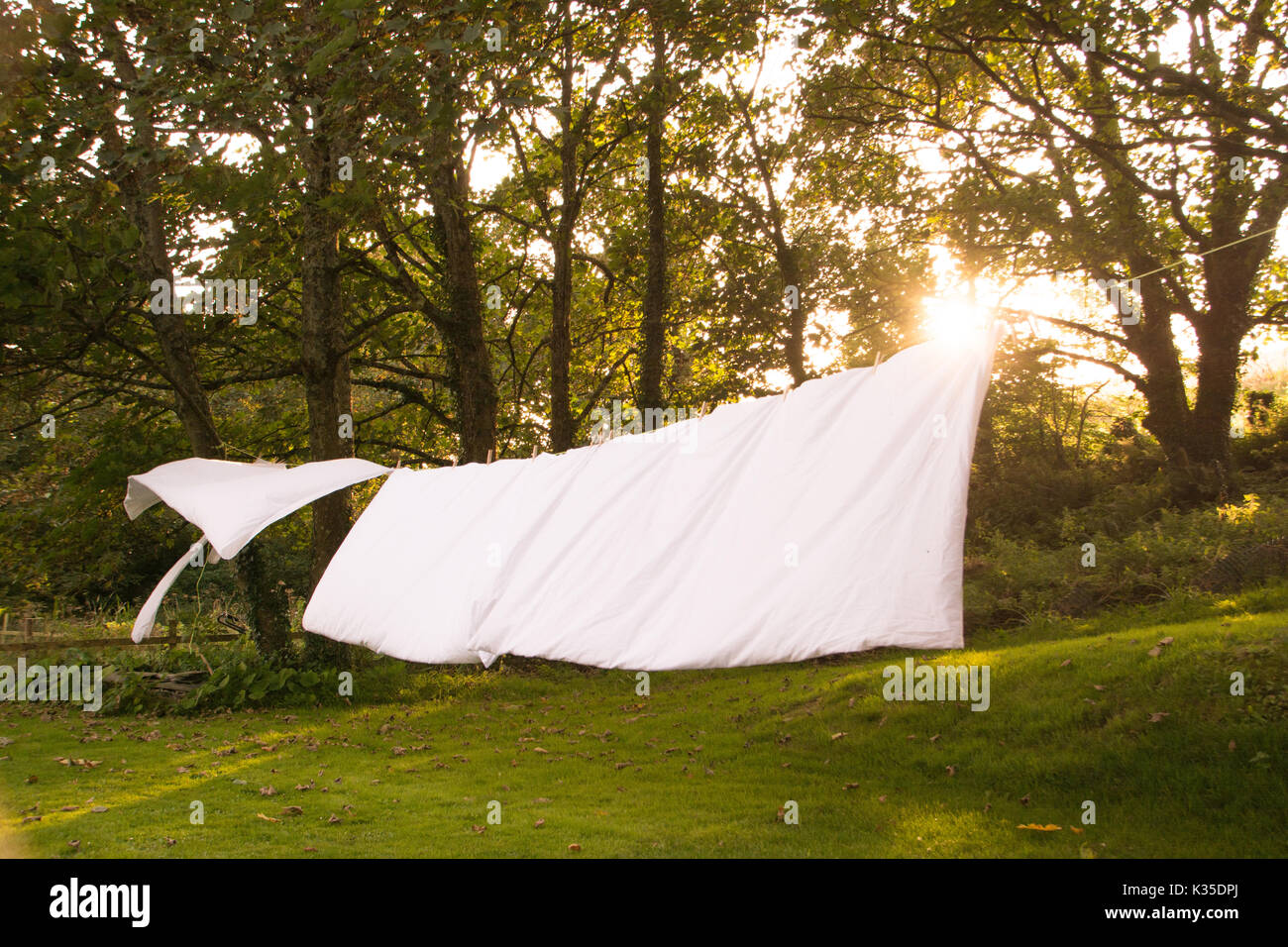Washing line at sunset in a lovely environment Stock Photo - Alamy