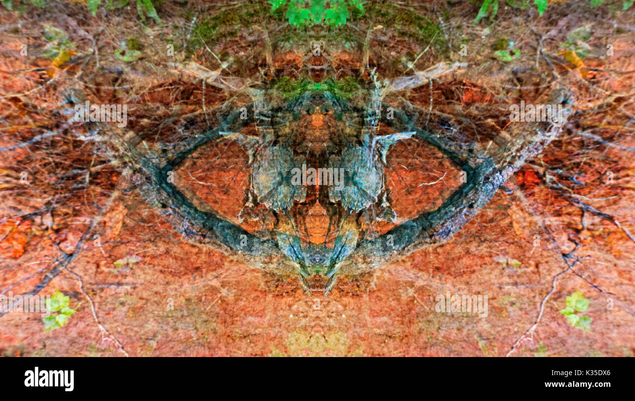 A colorful dreamlike abstract background image Stock Photo - Alamy