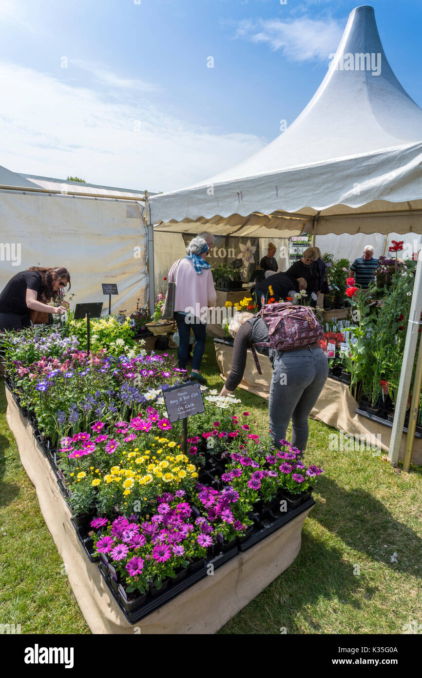 An impressive and colourful outdoor sales display of decorative ...
