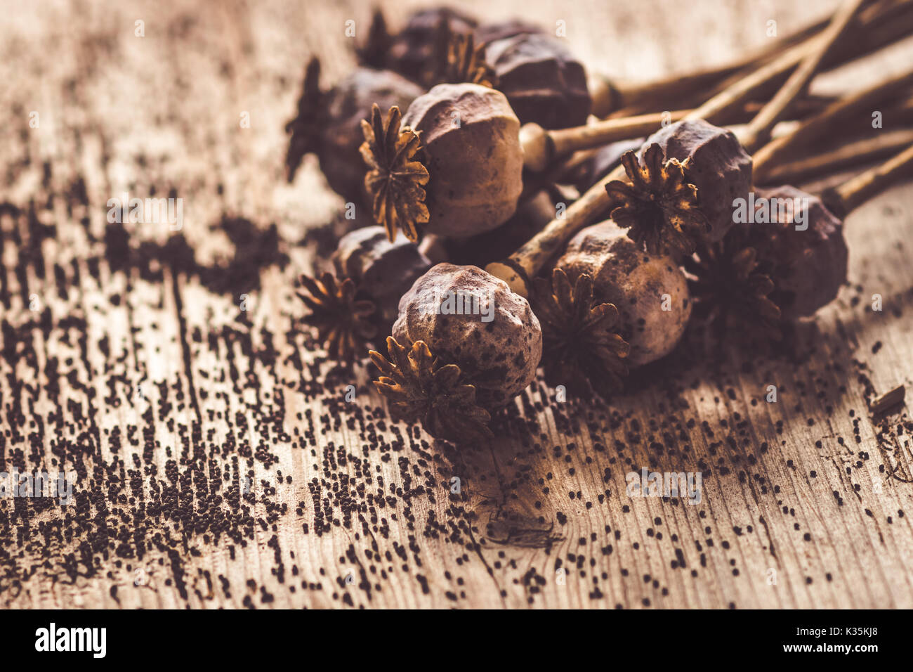 Dried poppy heads and seeds Stock Photo - Alamy
