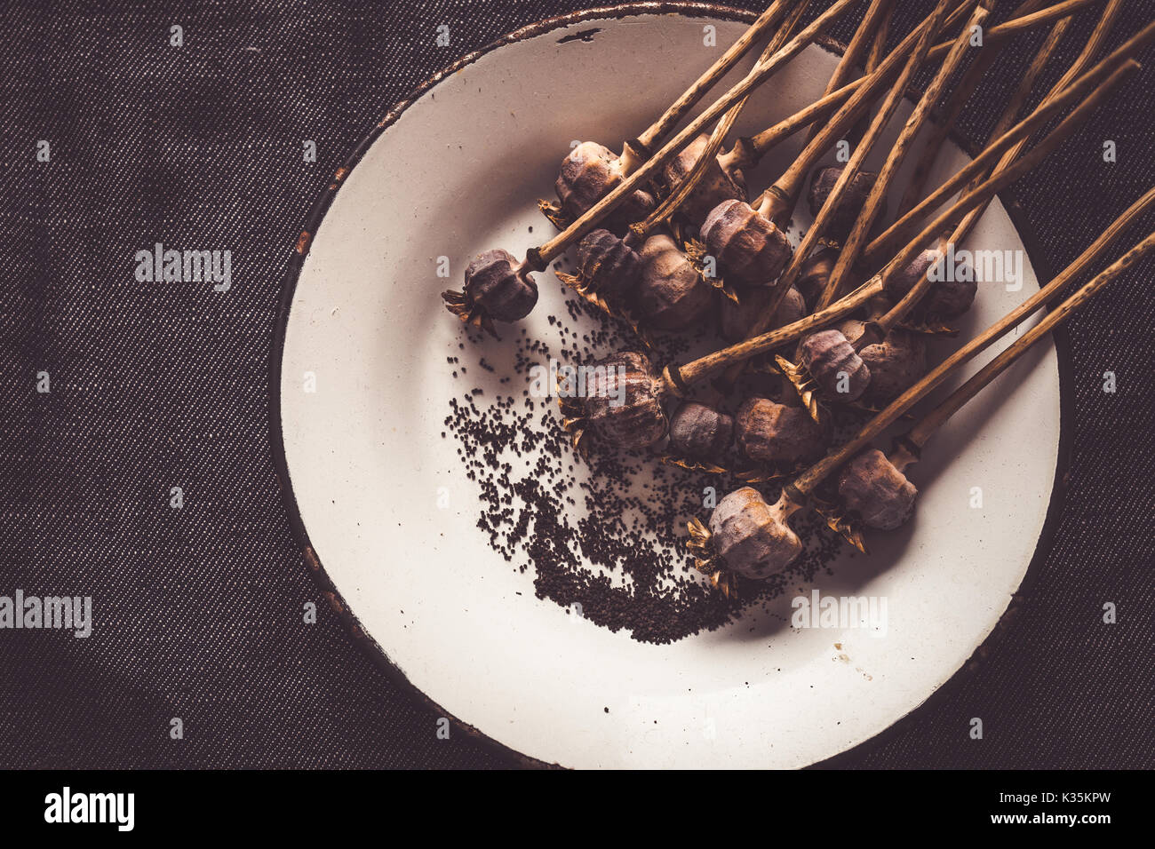 Dried poppy seed pod black hi-res stock photography and images - Alamy