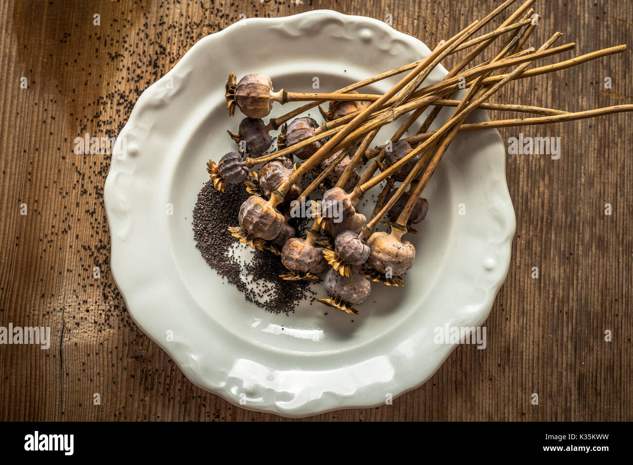 Dried poppy heads and seeds Stock Photo - Alamy