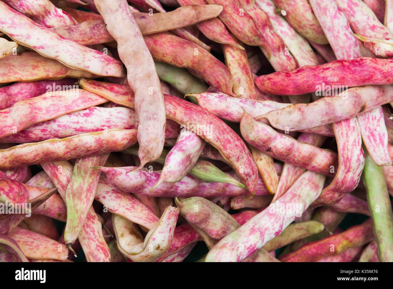 Red string beans lay on the counter of street food market on Madeira ...