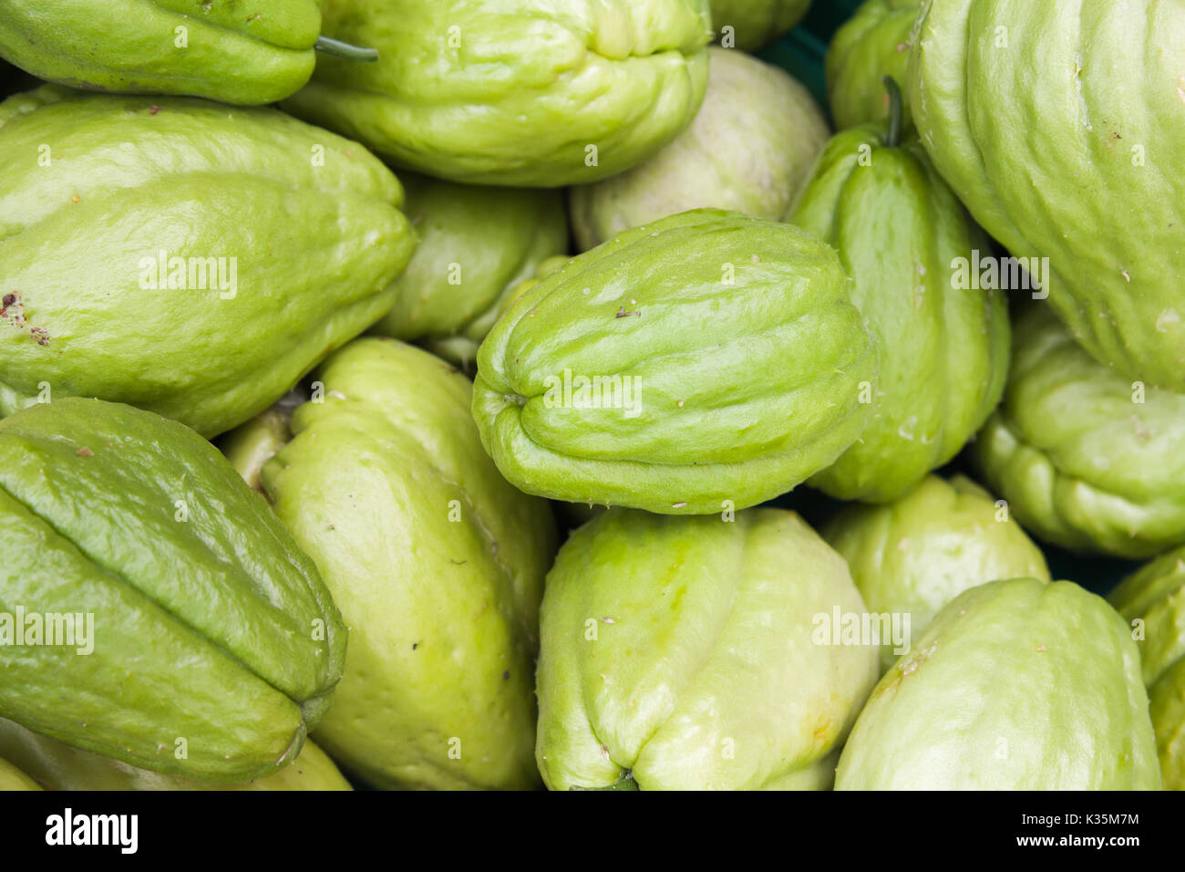 Chayotextle hi-res stock photography and images - Alamy