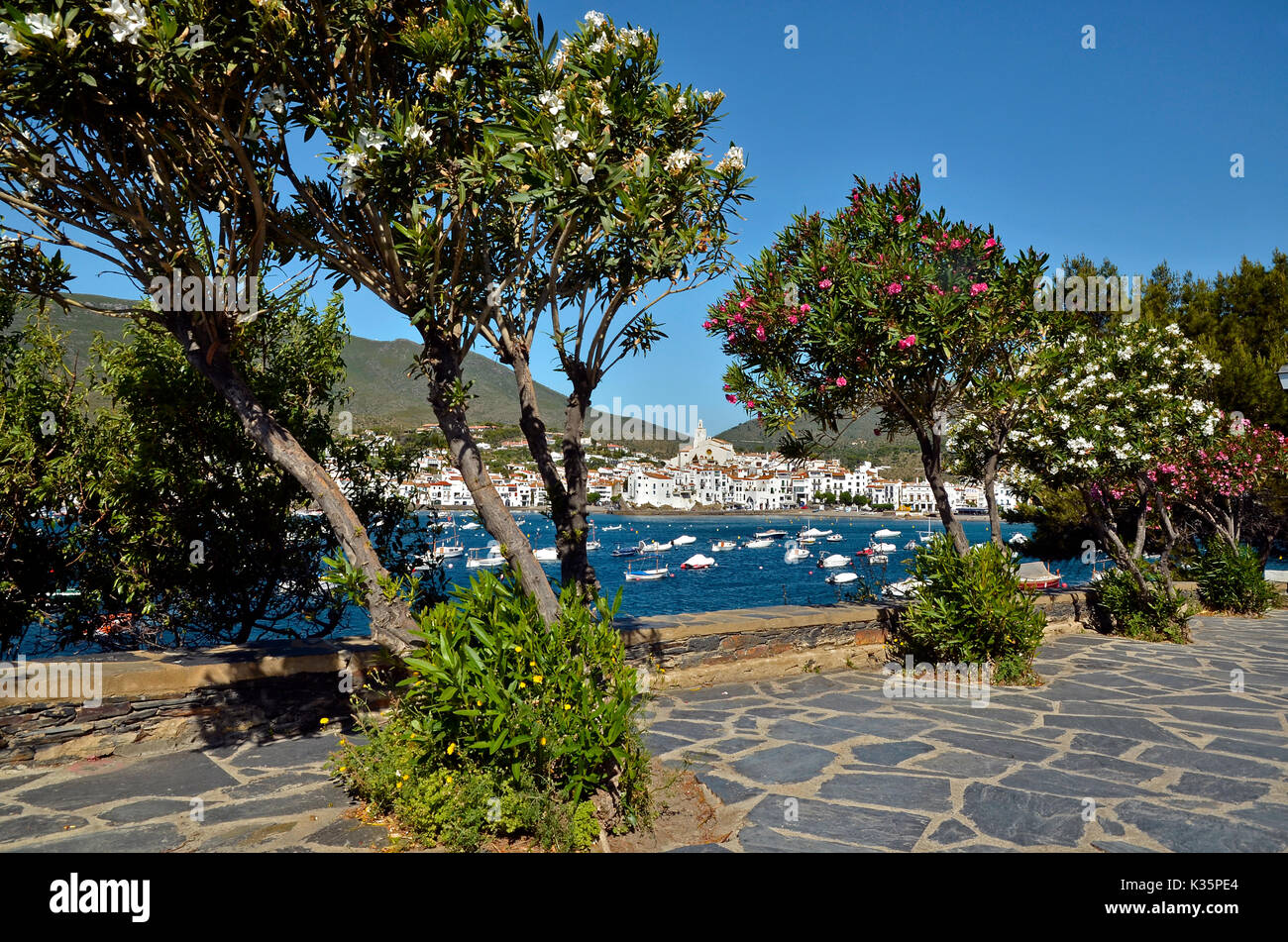 Landscape of Cadaqués with Nerium oleander in flower and port and town ...