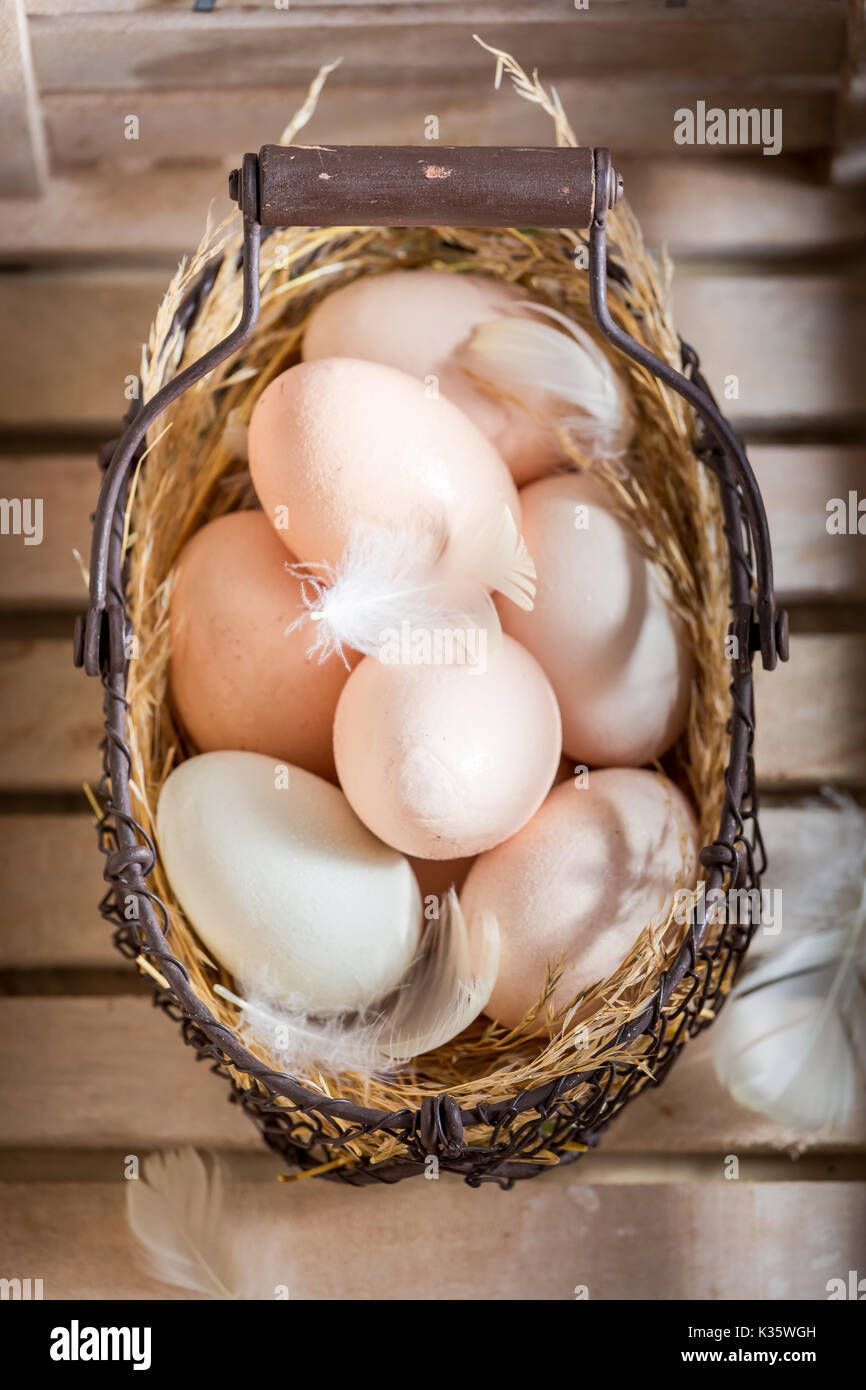 Fresh free range eggs from the farm Stock Photo - Alamy
