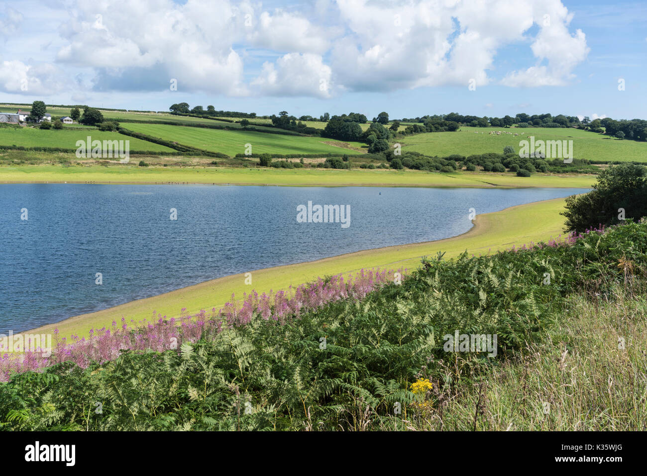 Dulverton hi-res stock photography and images - Alamy