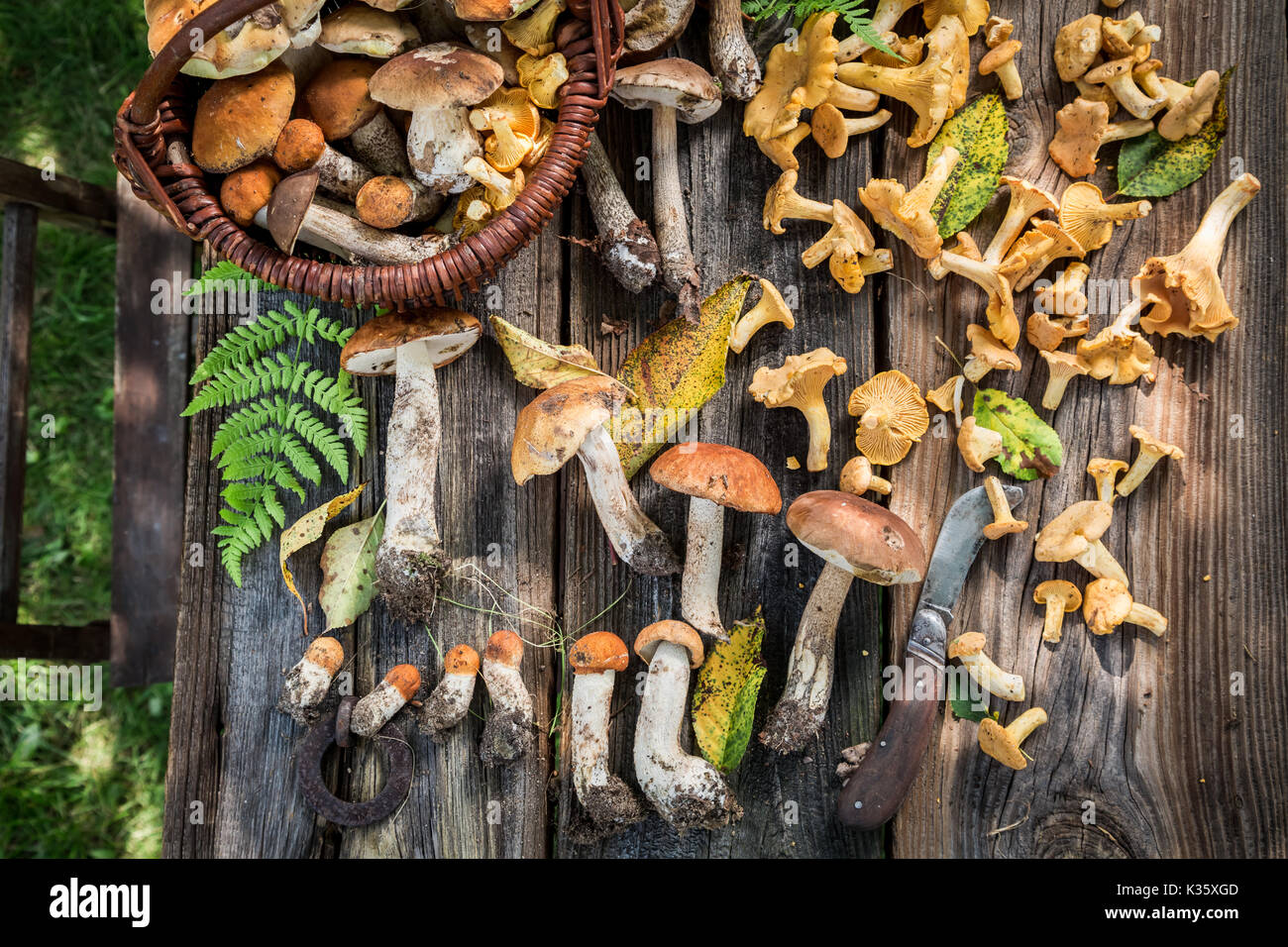 Healthy wild mushrooms full of flavour and aromatic Stock Photo - Alamy
